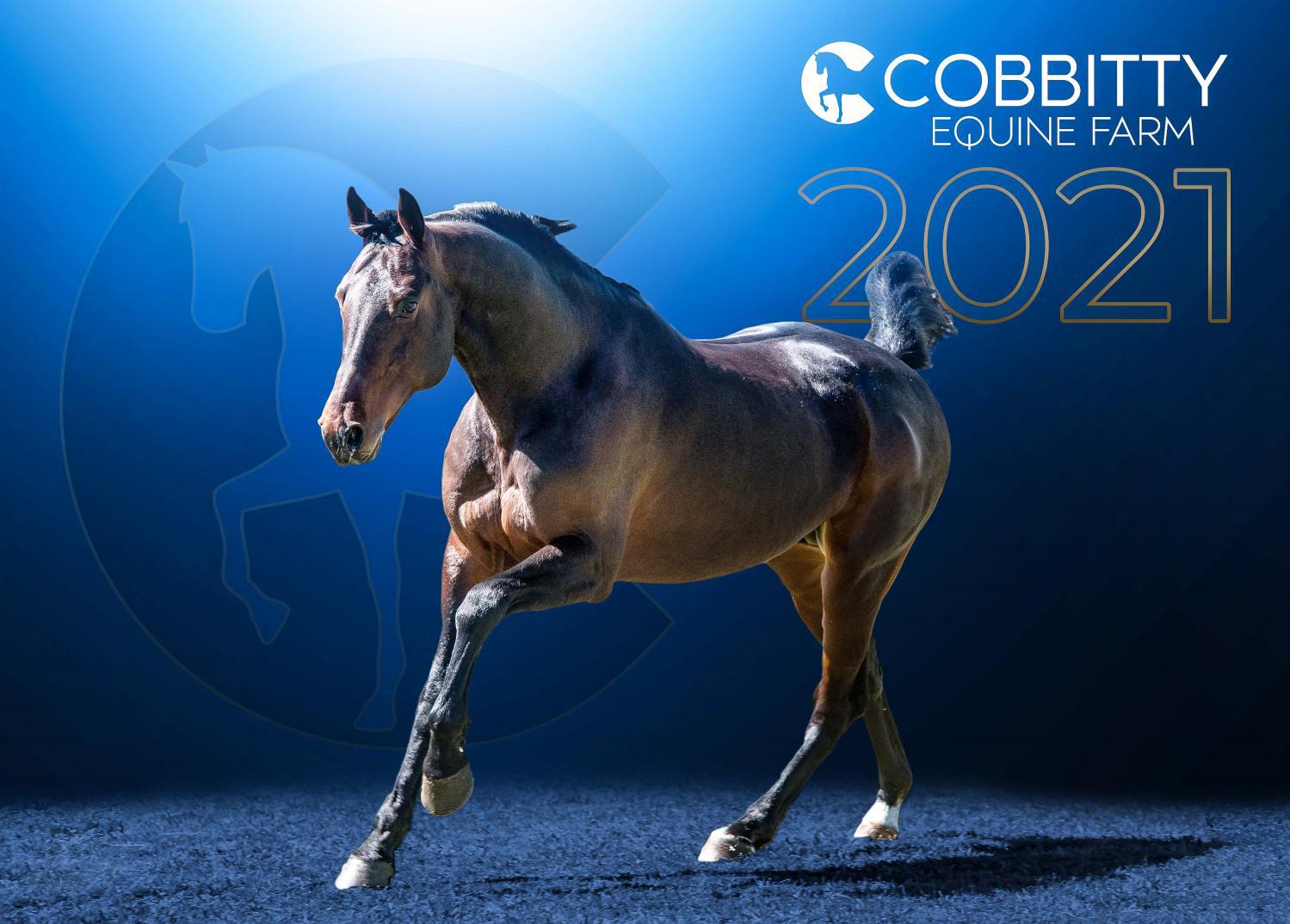 Cobbitty Equine Farm - Stallions 2021/22 by Cobbitty Equine Farm - Issuu