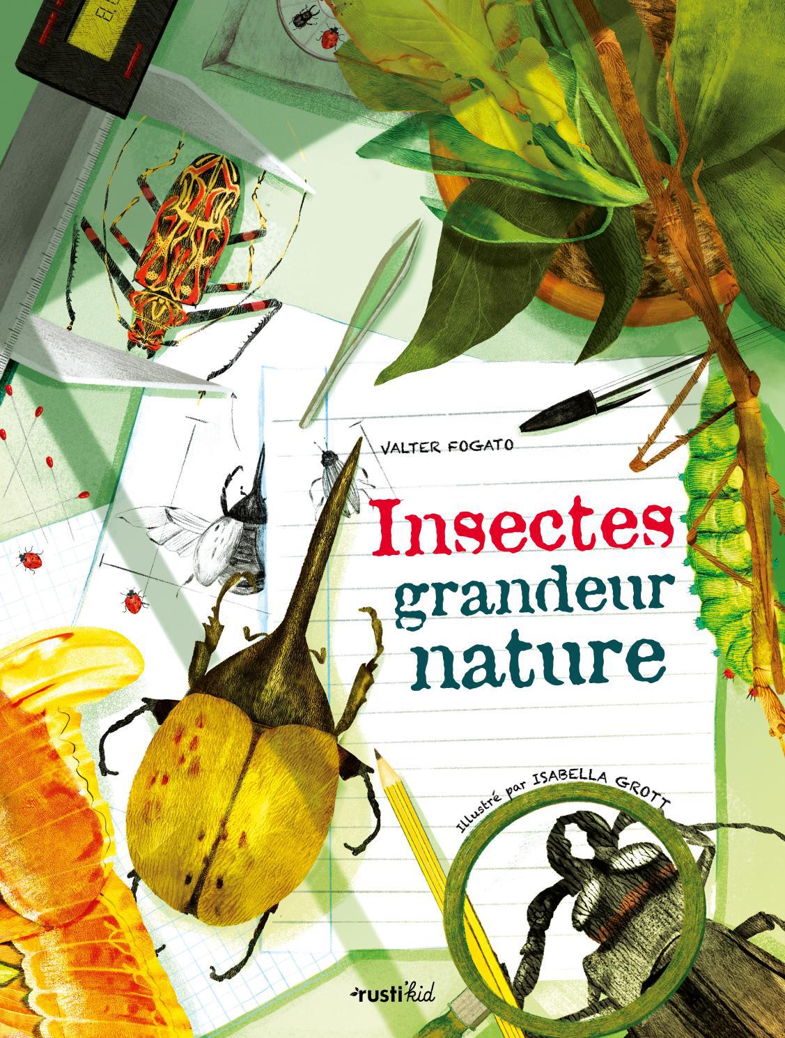 Insectes grandeur nature by Fleurus Editions - Issuu