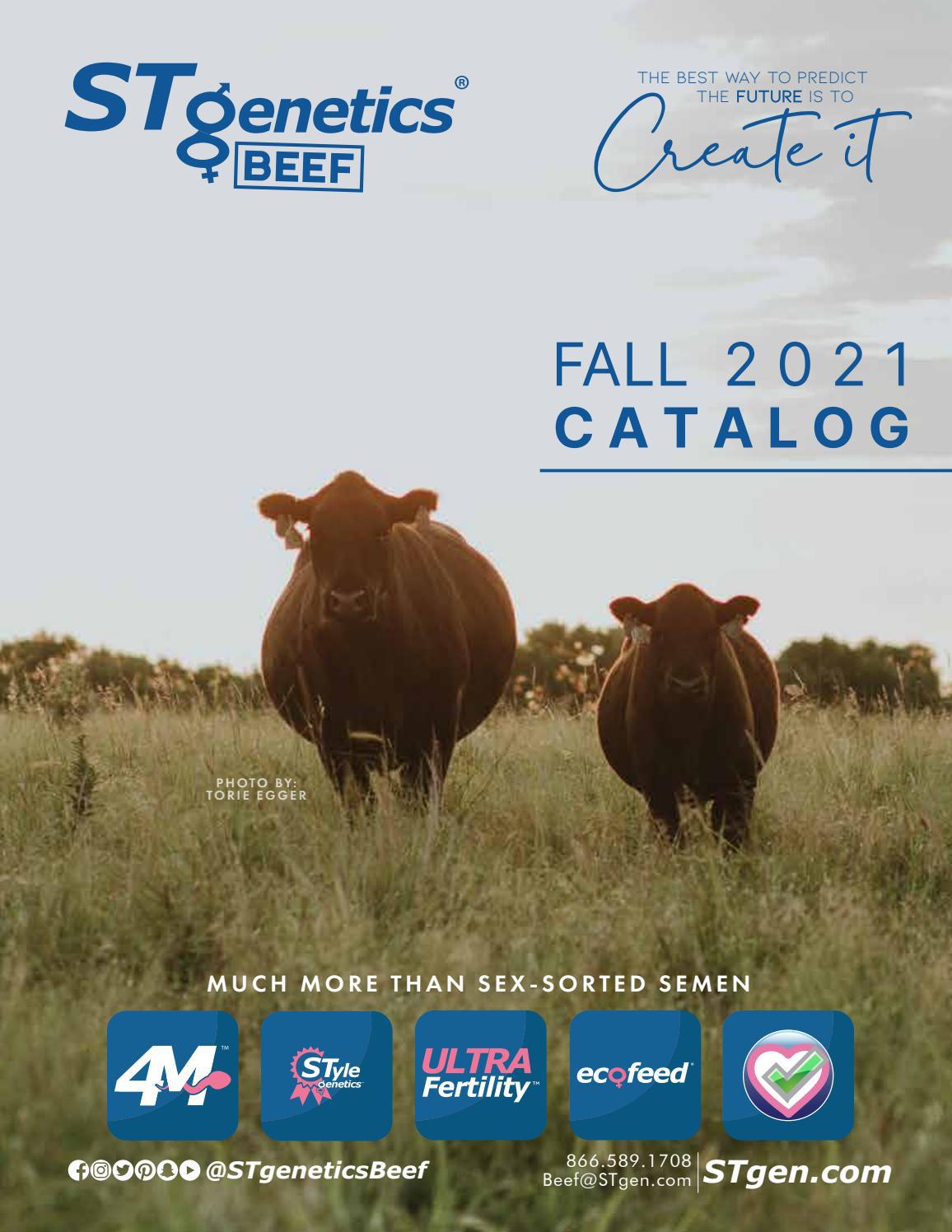 STgenetics® Beef 2021 Fall Catalog by STgeneticsBeef - Issuu