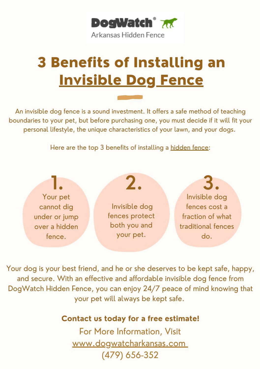 3 Benefits of Installing an Invisible Dog Fence by PeterParkar - Issuu