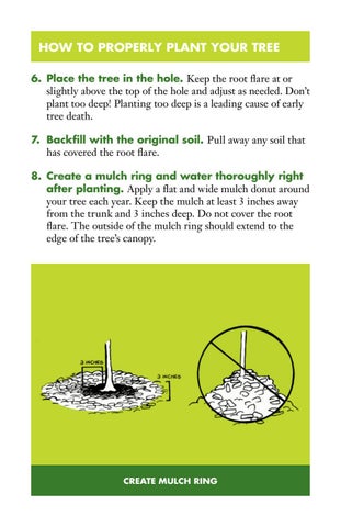 Planting and Caring for a New Tree (English) by Portland Parks ...
