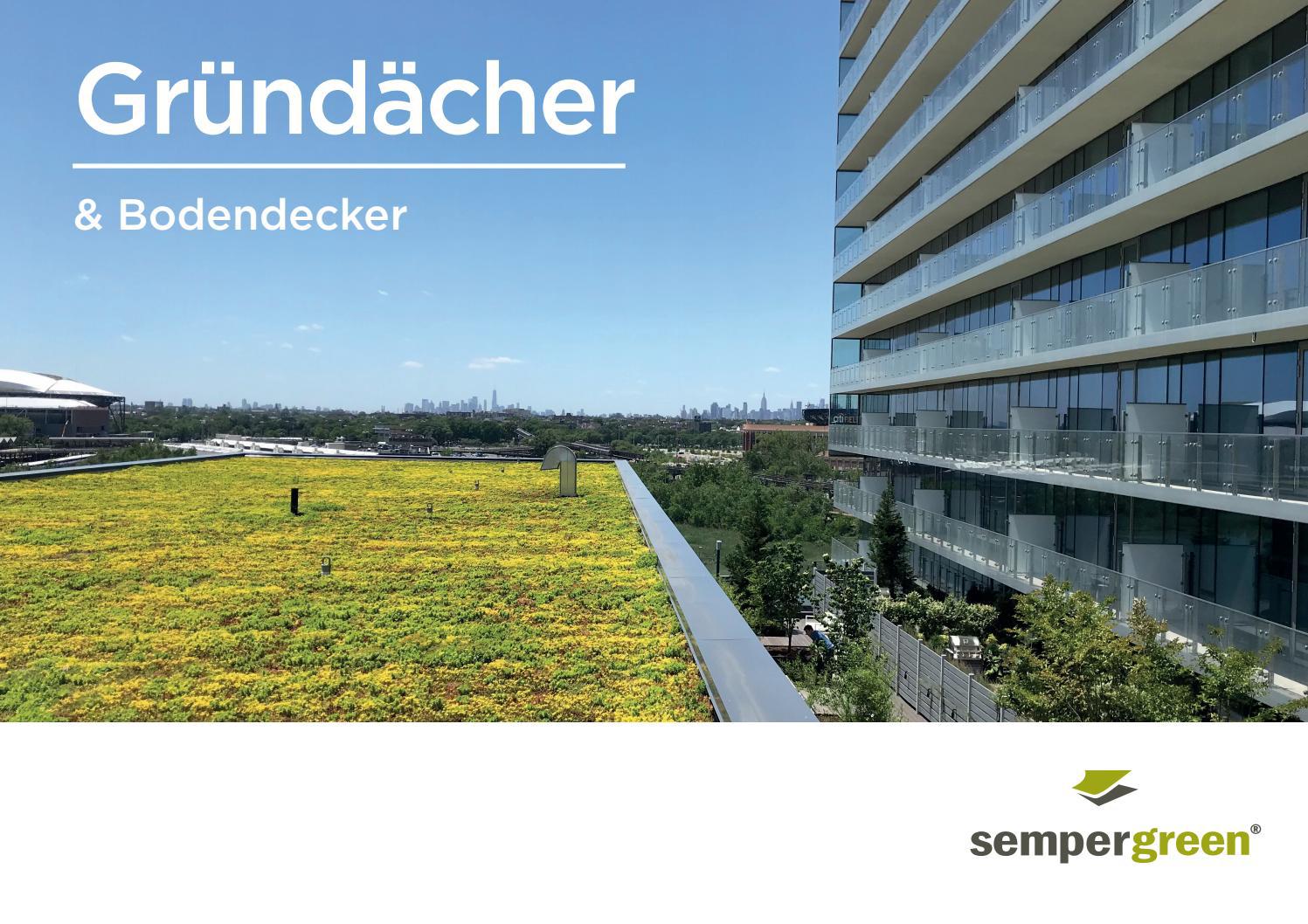 Sempergreen Gründächer & Bodendecker by Sempergreen - Issuu