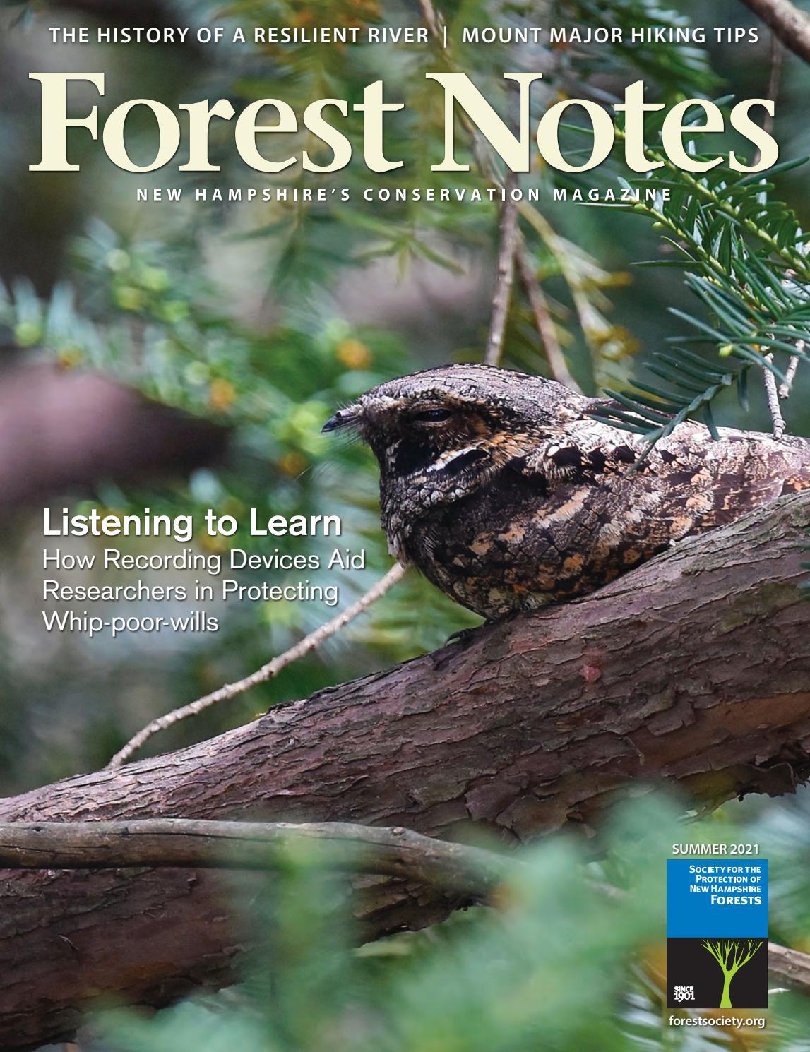 Forest Notes, Summer 2021 by Forest Society - Issuu
