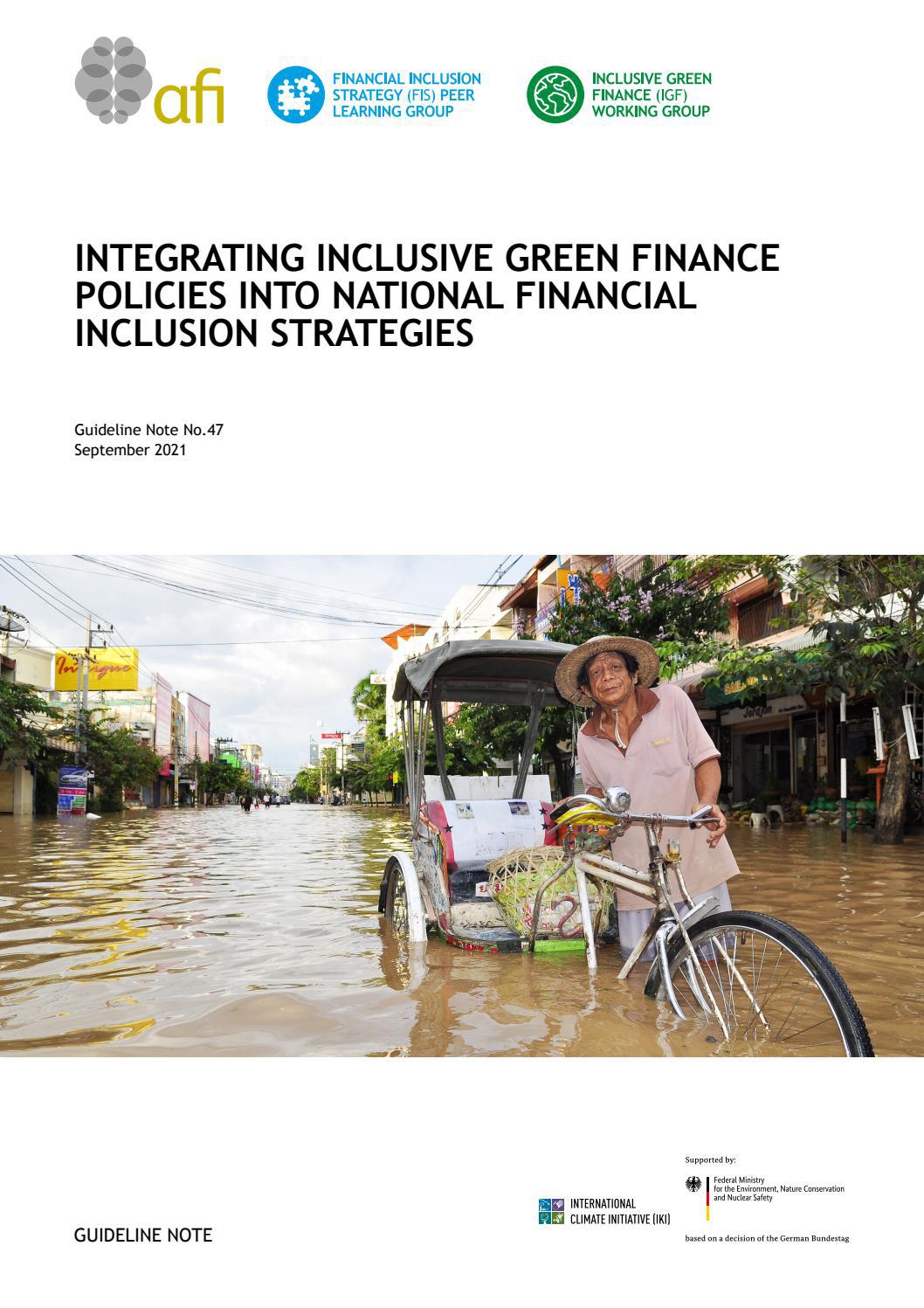 Integrating Inclusive Green Finance Policies into National Financial ...