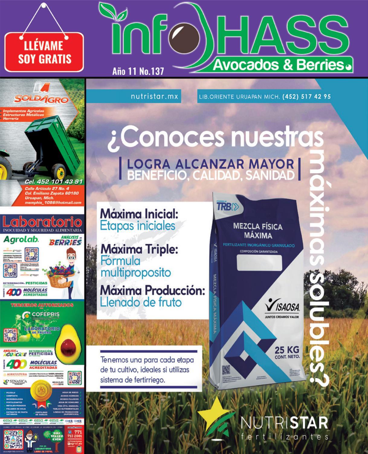 INFOHASS - EDICIÓN No. 137 by InfoHass - Issuu