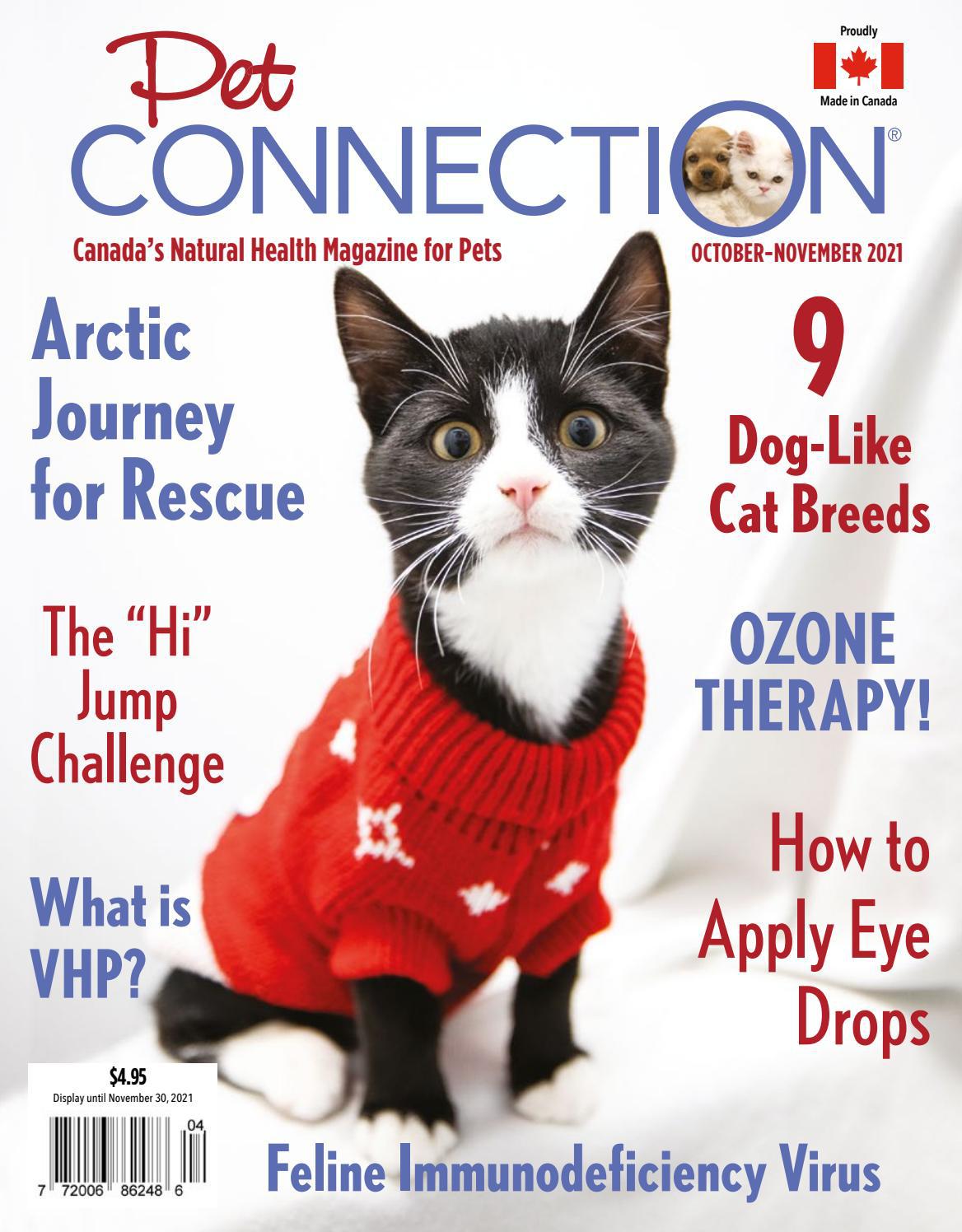 Pet Connection Canada Oct/Nov 2021 Issue by Pet Connection - Issuu