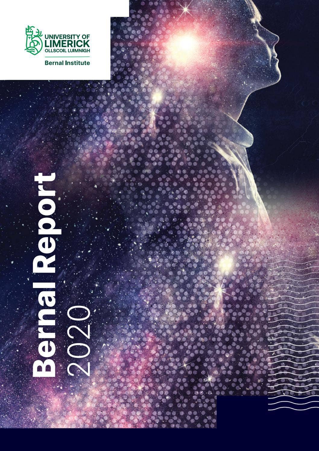 The Bernal Institute Report 2020 by University of Limerick Foundation ...
