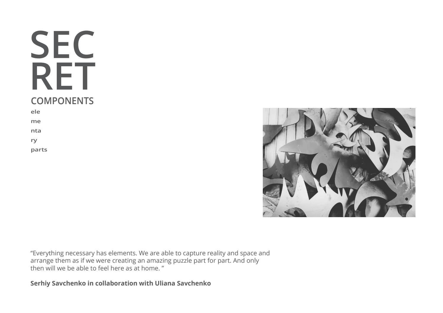 Secret Components, elementary parts. by Fundacja Savchenko - Issuu