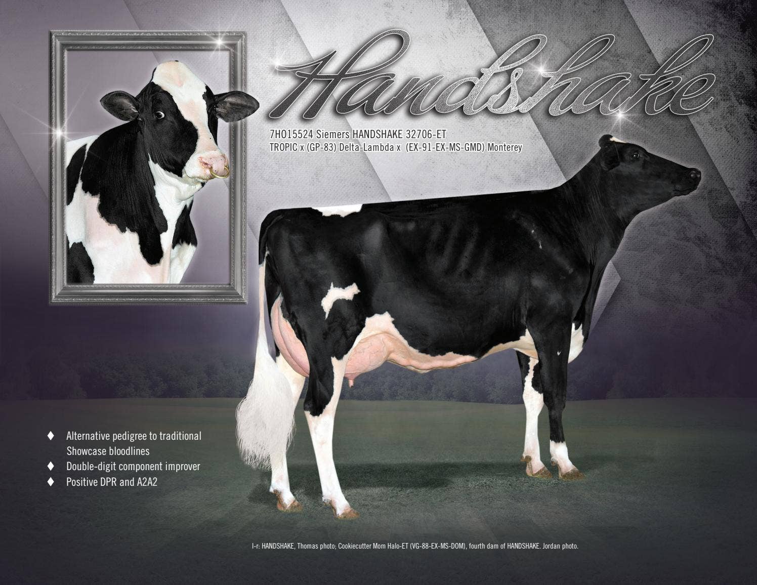 Select Sires Showcase 2021 by Select Sires - Issuu