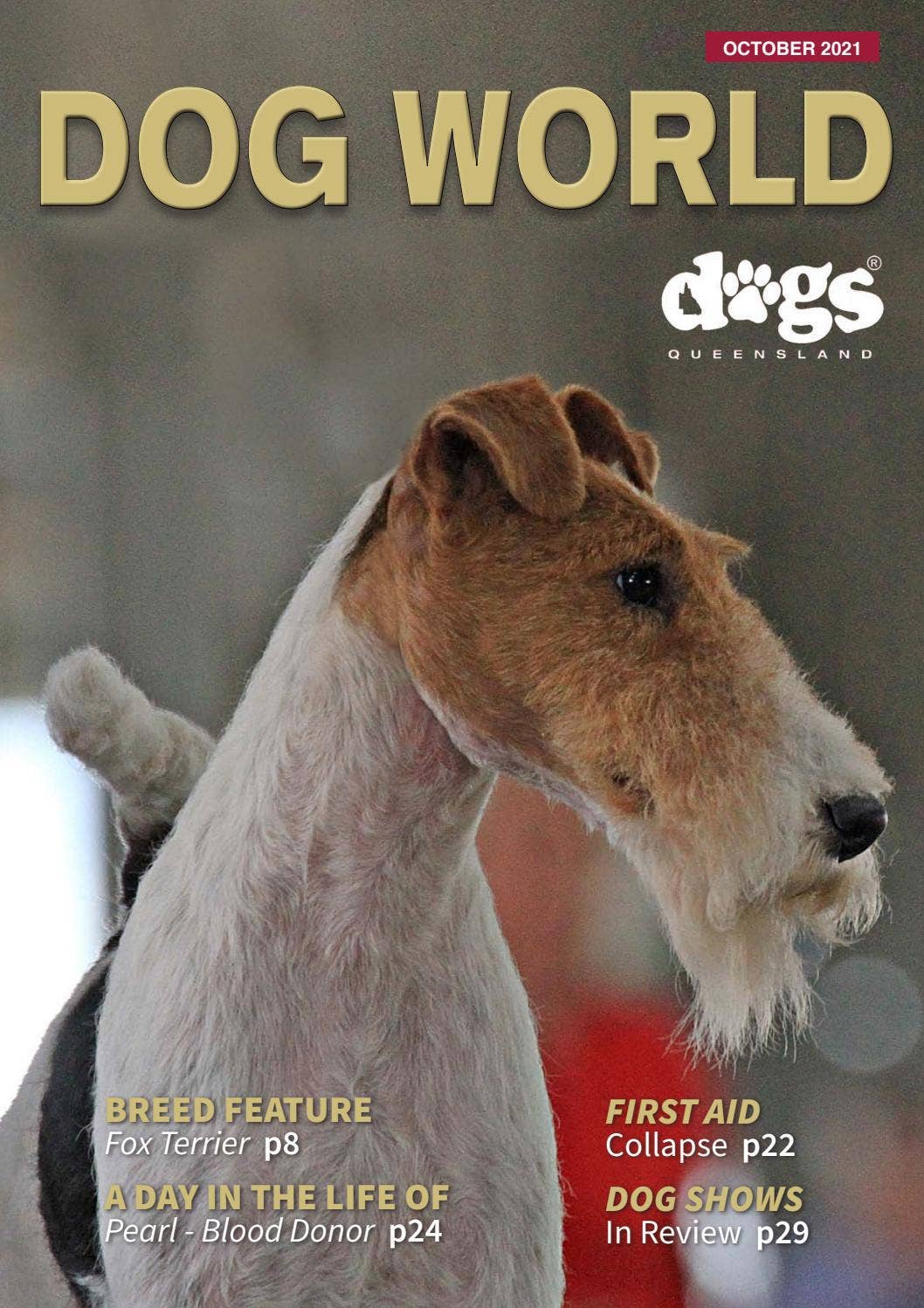DOG WORLD MAGAZINE - OCTOBER 2021 by Dogs Queensland - Issuu