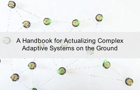 A Demonstration of Actualizing Complex Adaptive Systems on the Ground ...