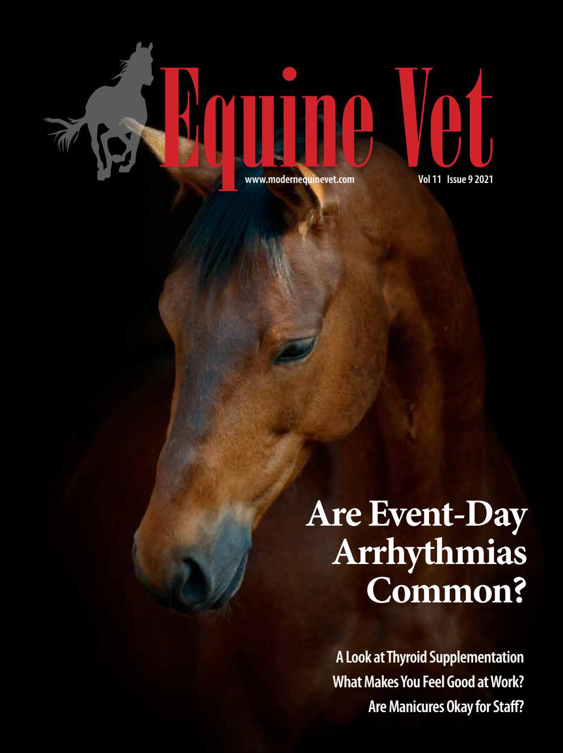 The Modern Equine Vet - September 2021 by The Modern Equine Vet - Issuu
