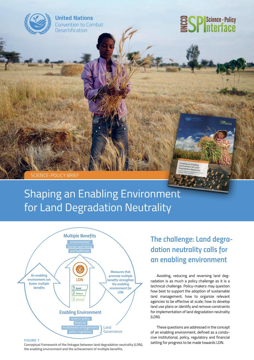 UNCCD SPI: Shaping an Enabling Environment by Anne Stein - Issuu