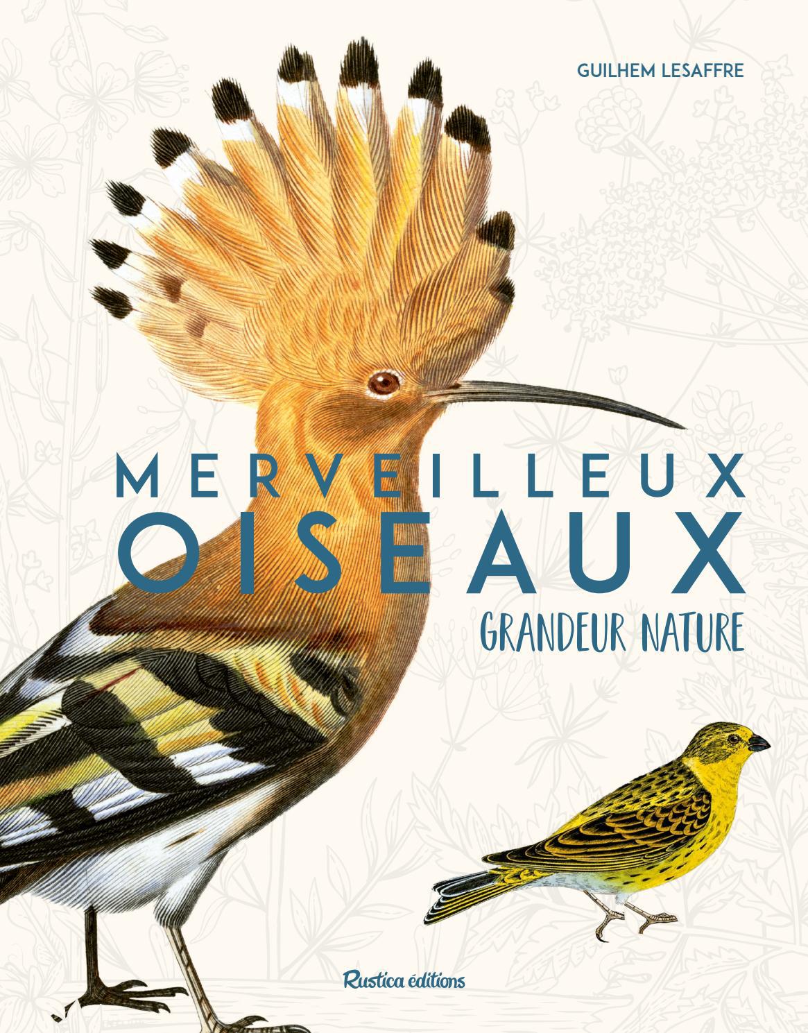 Merveilleux oiseaux grandeur nature by Fleurus Editions - Issuu