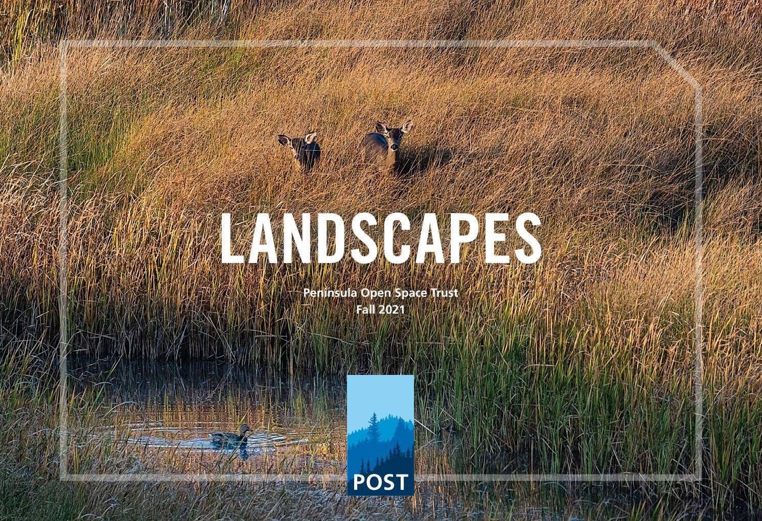 Fall Landscapes - 2021 by Peninsula Open Space Trust - Issuu