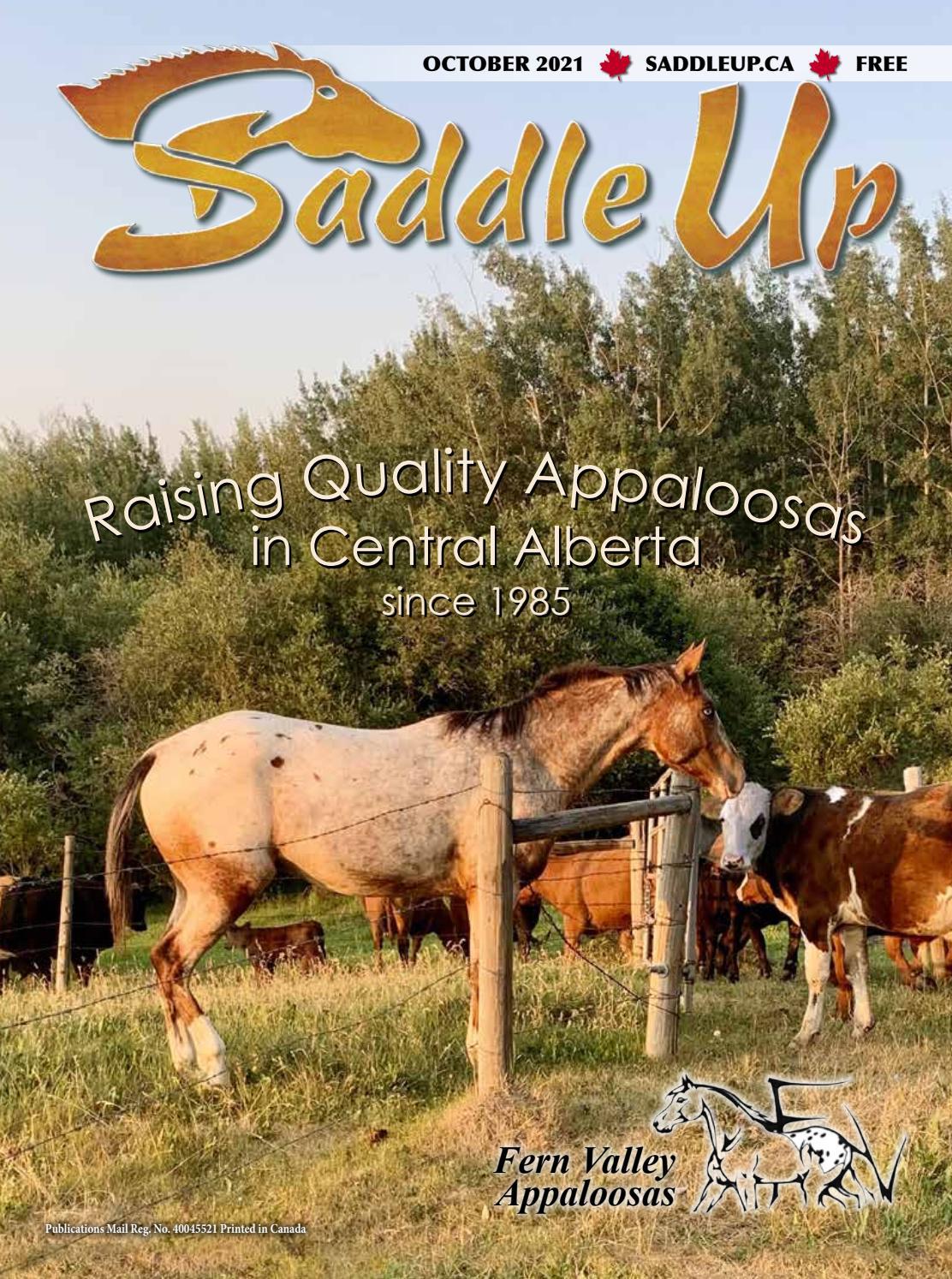 Saddle Up October 2021 by Saddle Up magazine - Issuu