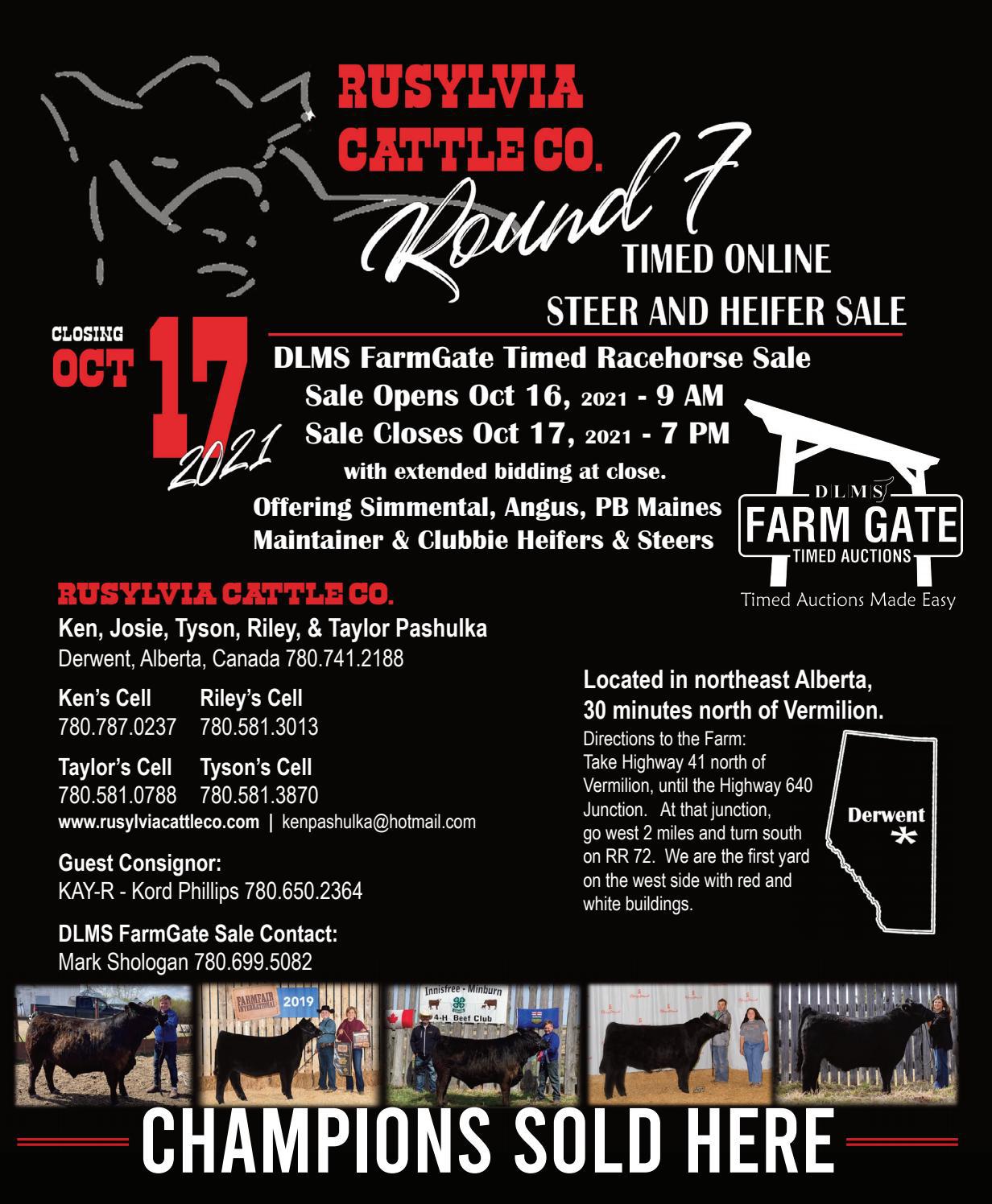 Rusylvia Cattle Co Round 7 Fall Online Steer & Heifer Sale 2021 - Sale ...