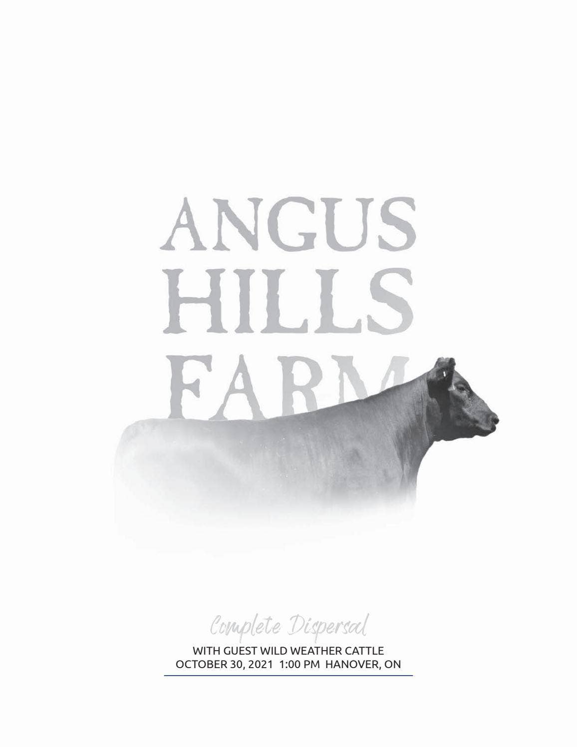 Angus Hills Farm Complete Dispersal With Guest Wild Weather Cattle by ...