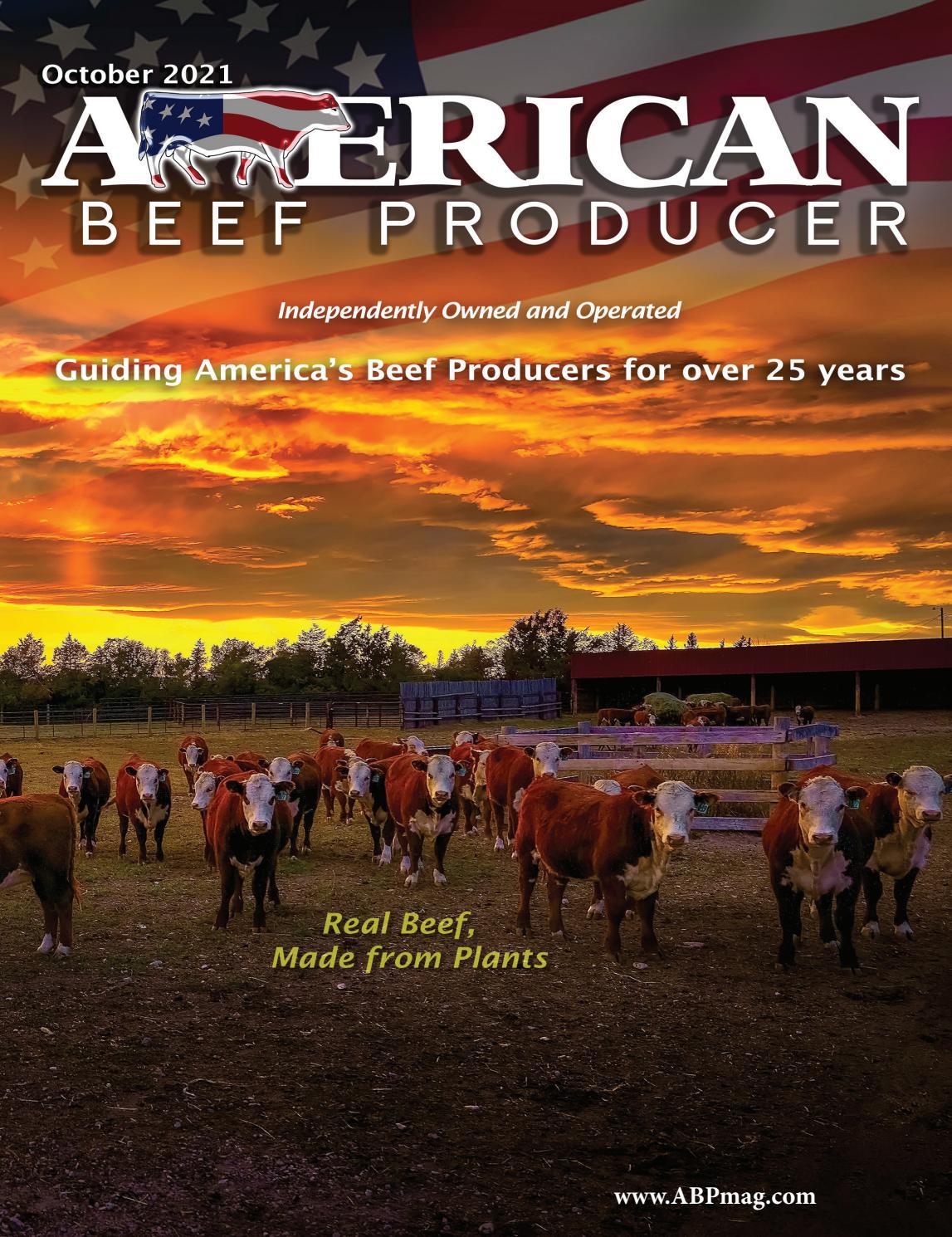 October 2021 - American Beef Producer Magazine by American Beef ...