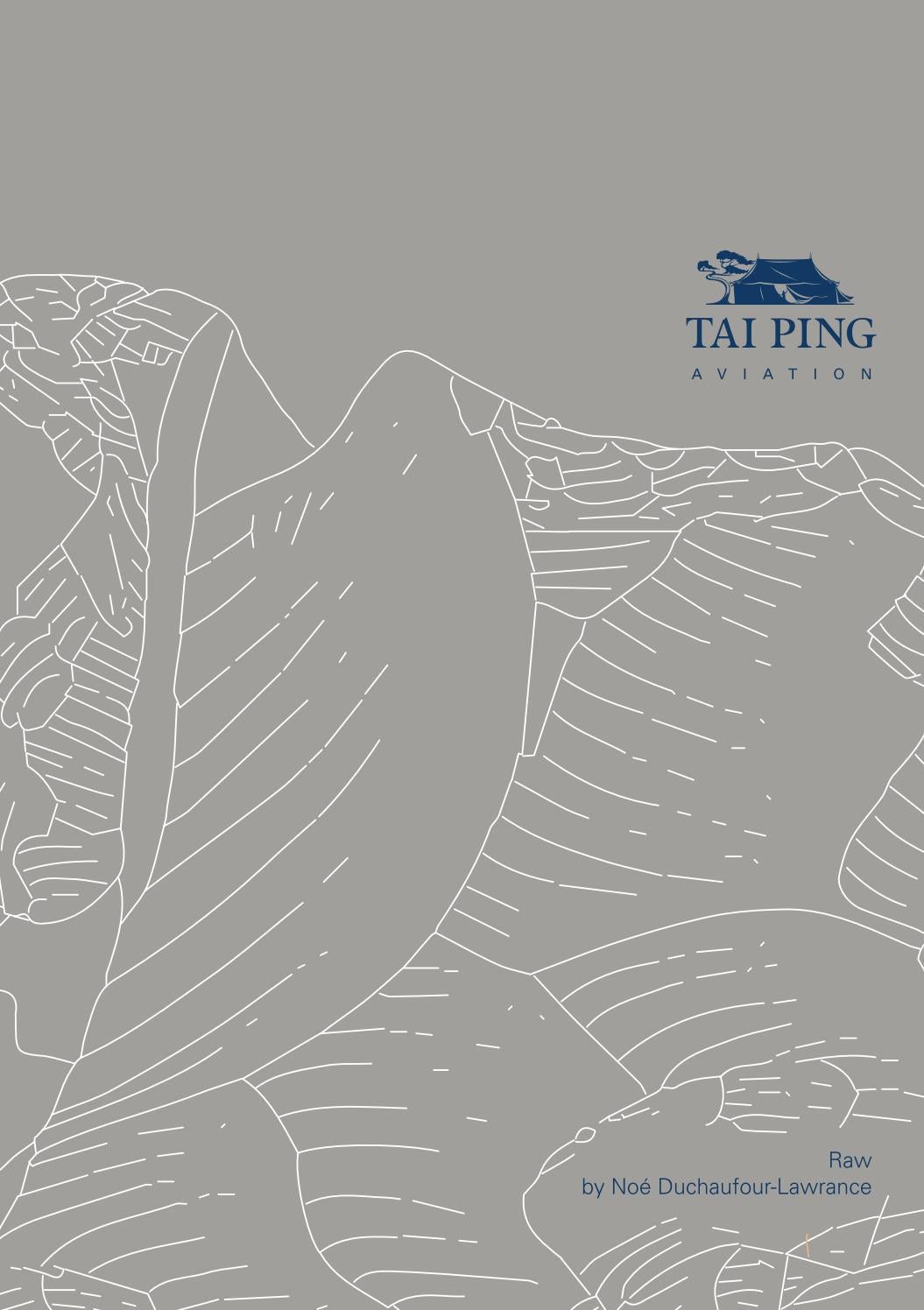 Raw Collection for Aviation - Tai Ping by Tai Ping Carpets - Issuu