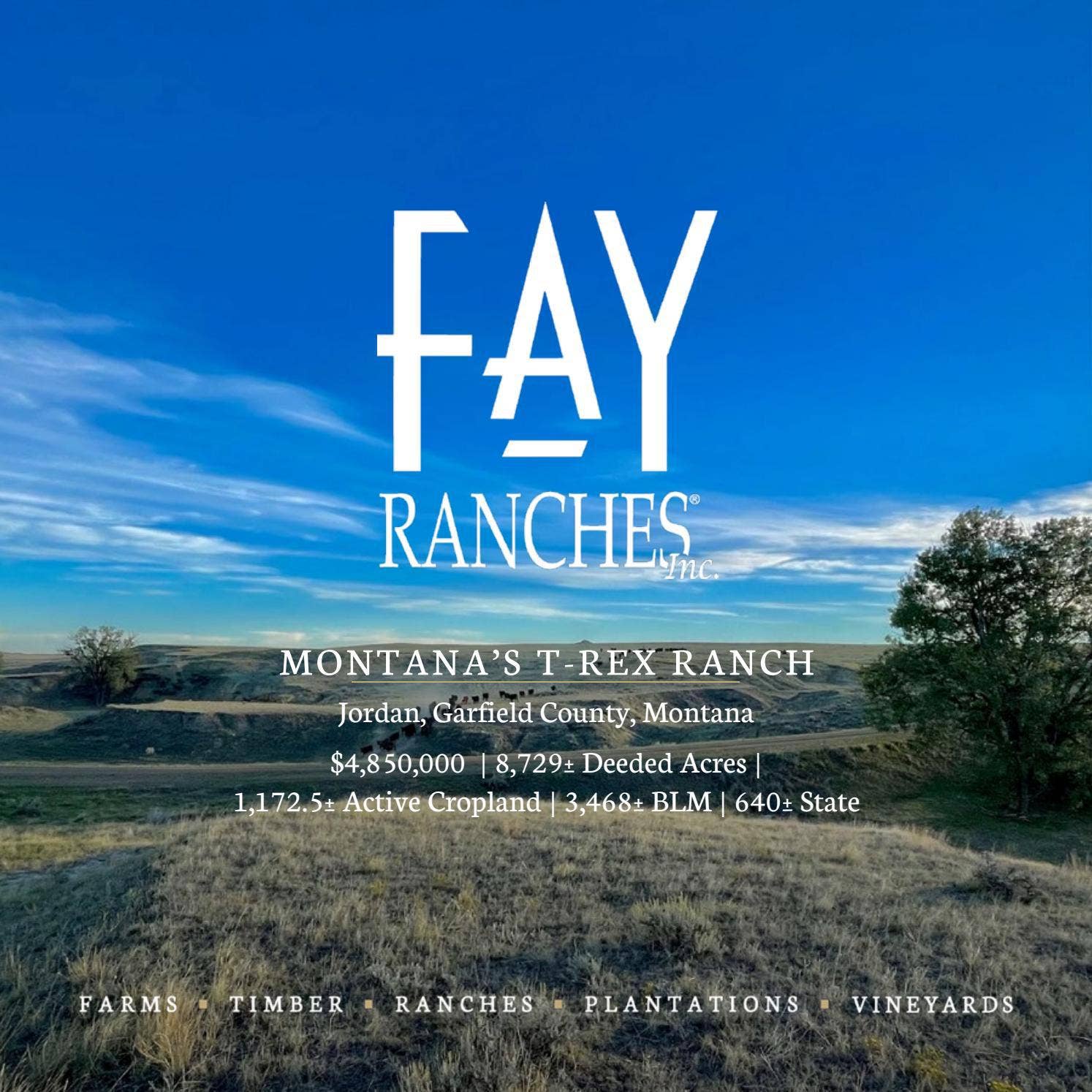 SOLD: Montana's T-Rex Ranch | Fay Ranches by Fay Ranches - Issuu