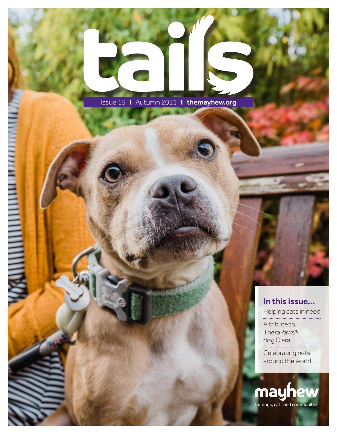 Tails | Autumn 2021 by mayhewanimalhome - Issuu