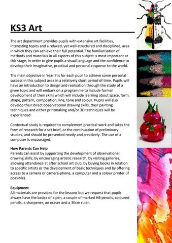 Art KS3 2021-22 by Schudio - Issuu