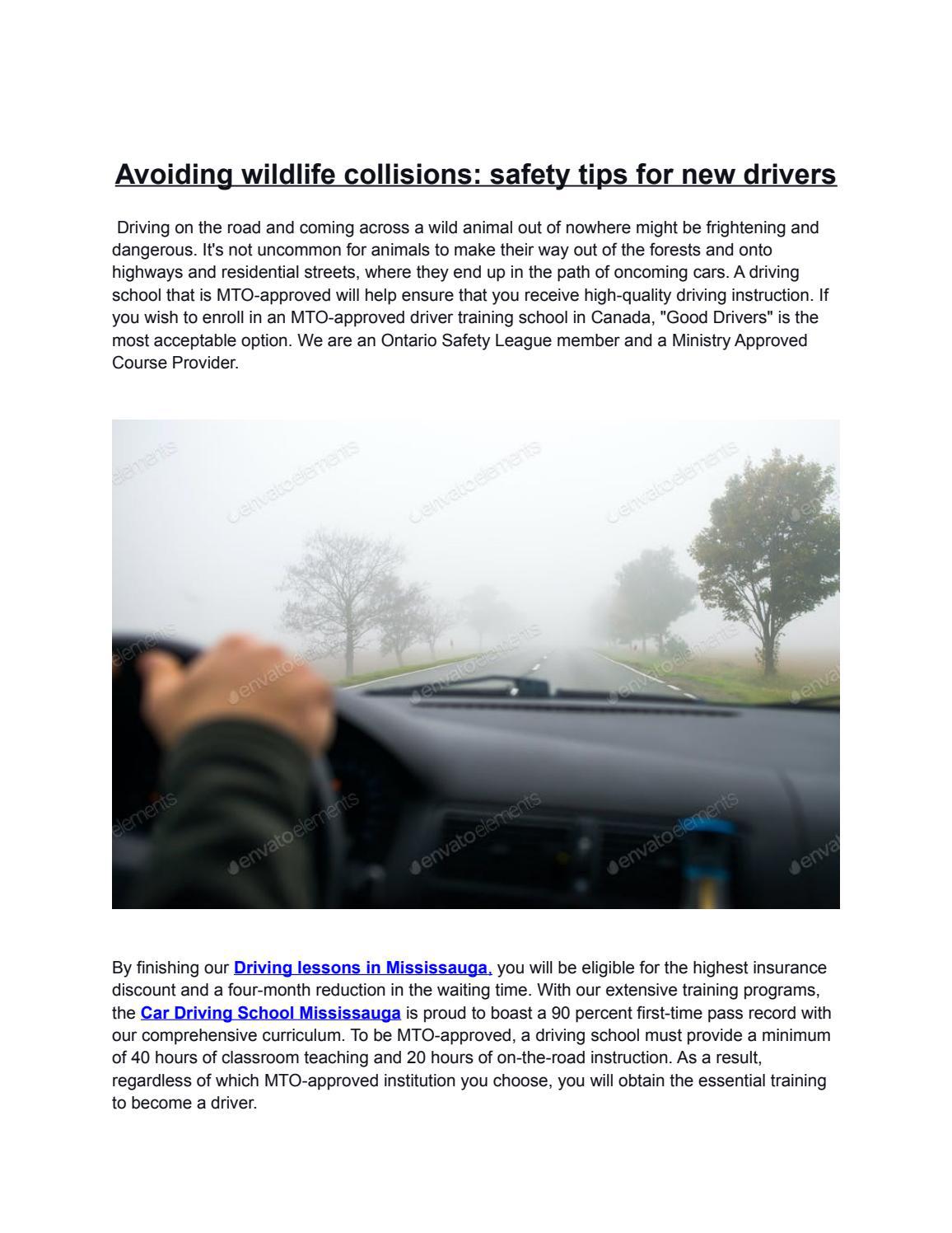 Avoiding wildlife collisions: safety tips for new drivers by Good ...