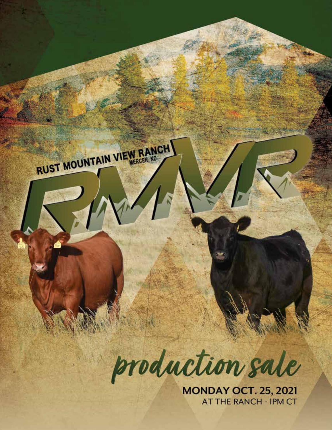 Rust Mountain View Ranch 2021 Production Sale by Bohrson Marketing ...