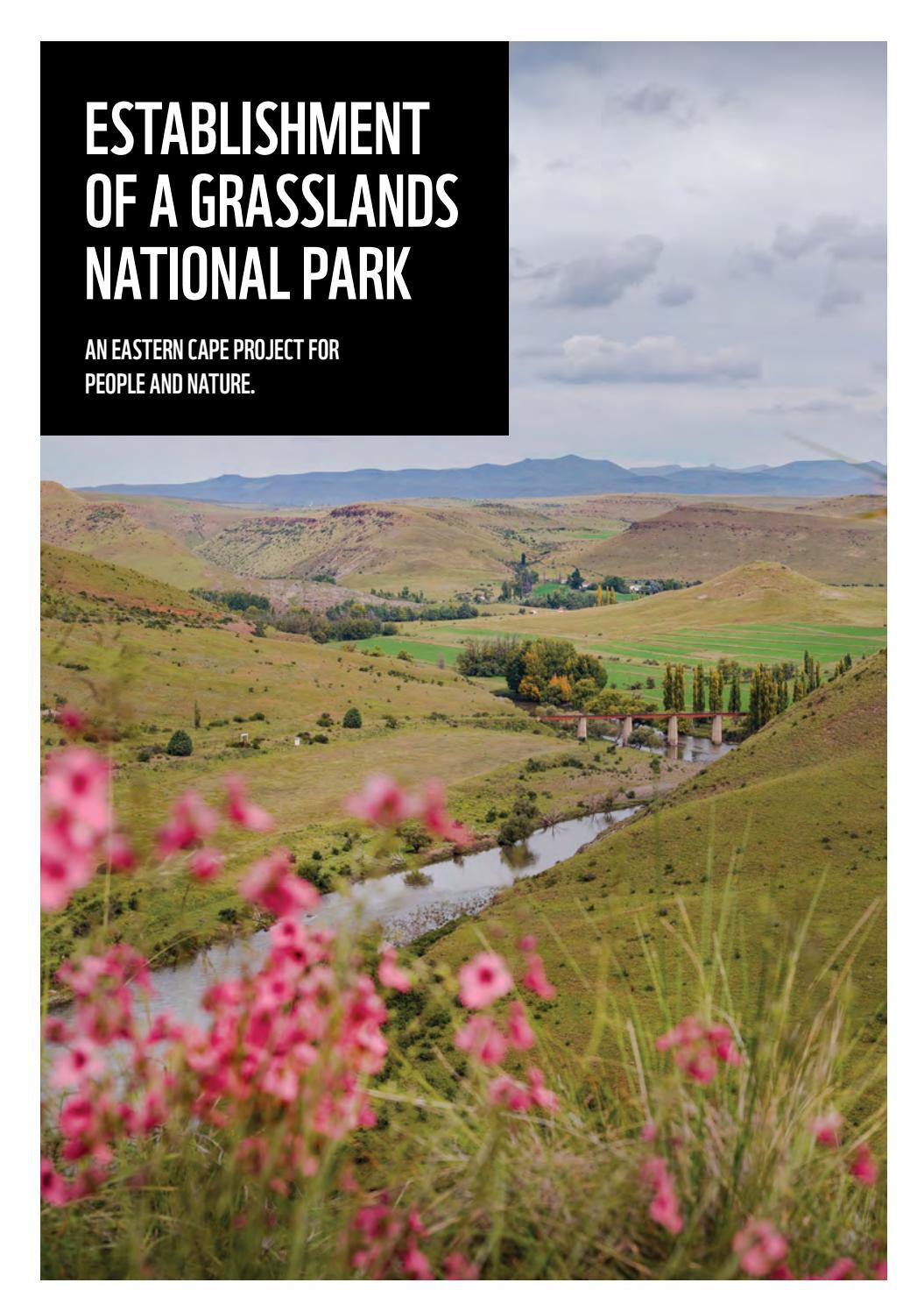 WWF Grasslands National Park Brochure by GAPdesign - Issuu