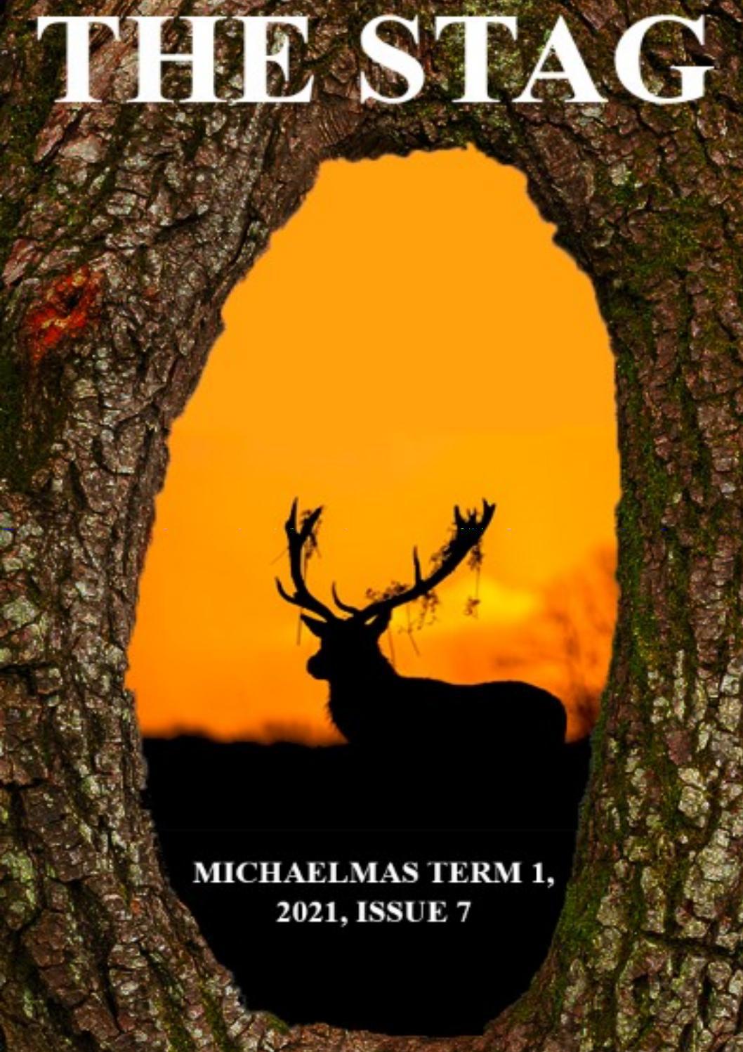 The Stag Issue 7 by TheStag. - Issuu