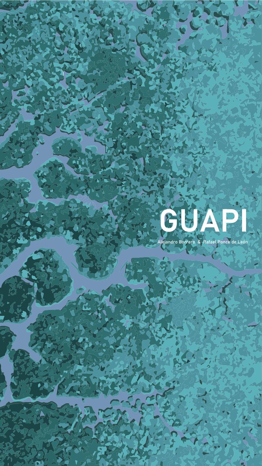 GUAPI ENTREGA C2 by rafaelponcedeleonb - Issuu