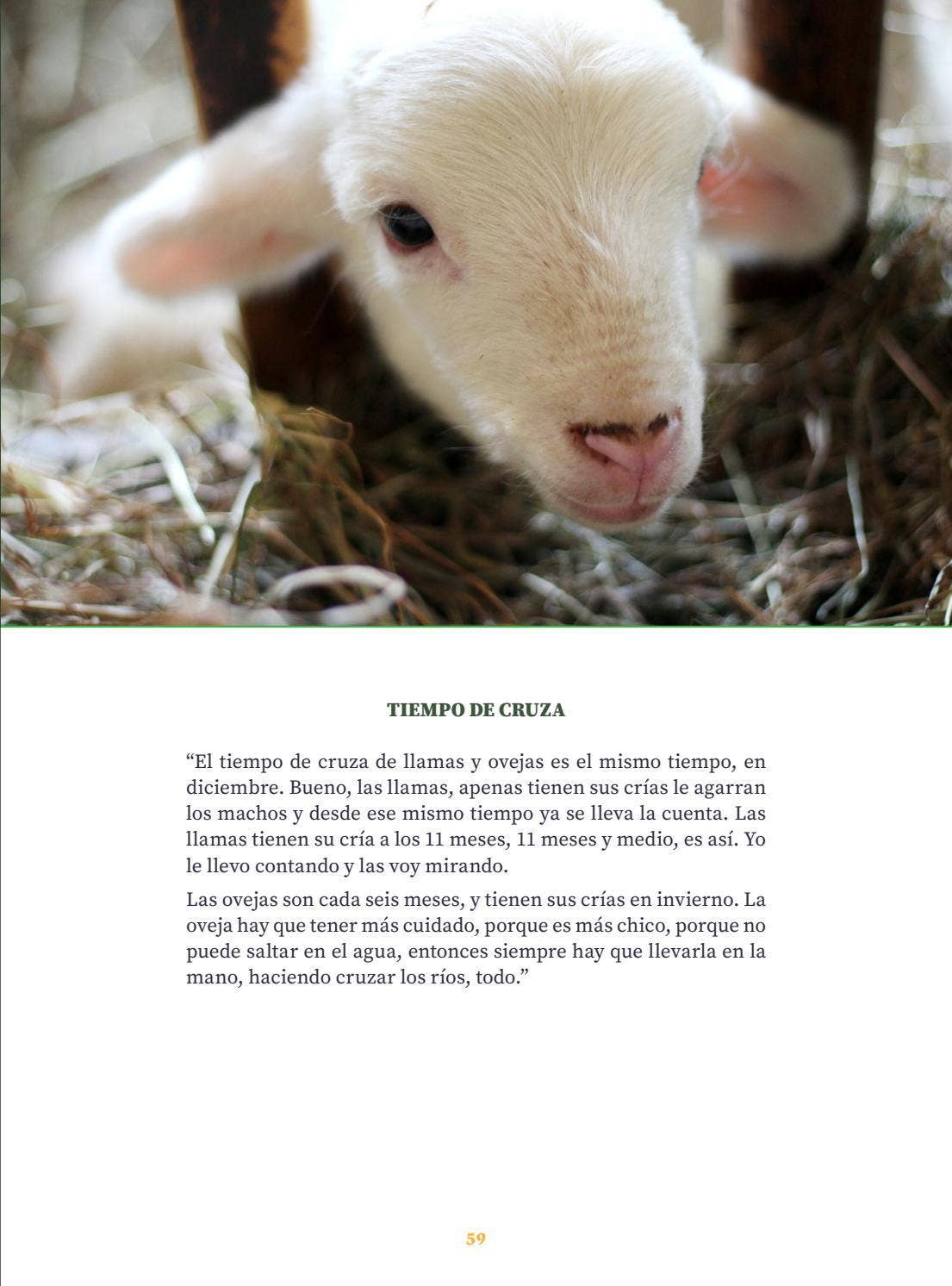 Pastoreo by patrimoniocultural123 - Issuu