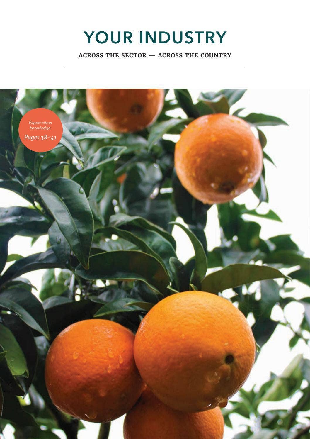 The Orchardist | August 2021 by Horticulture New Zealand - Issuu