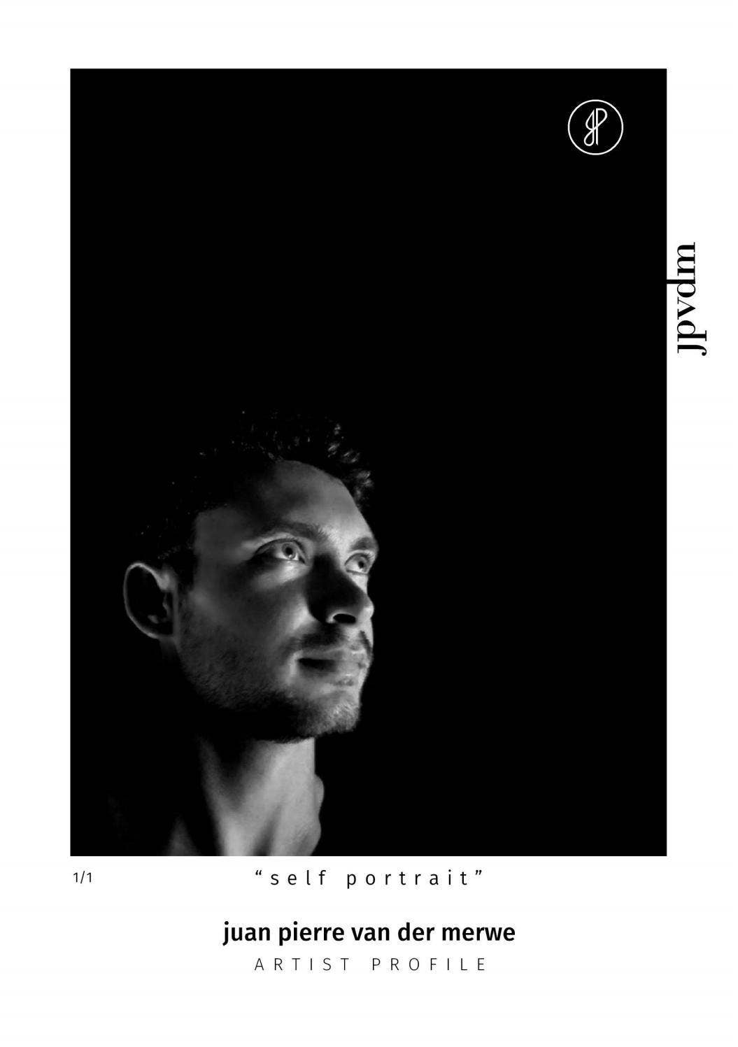 juan pierre van der merwe collection // fine arts // artist profile by ...