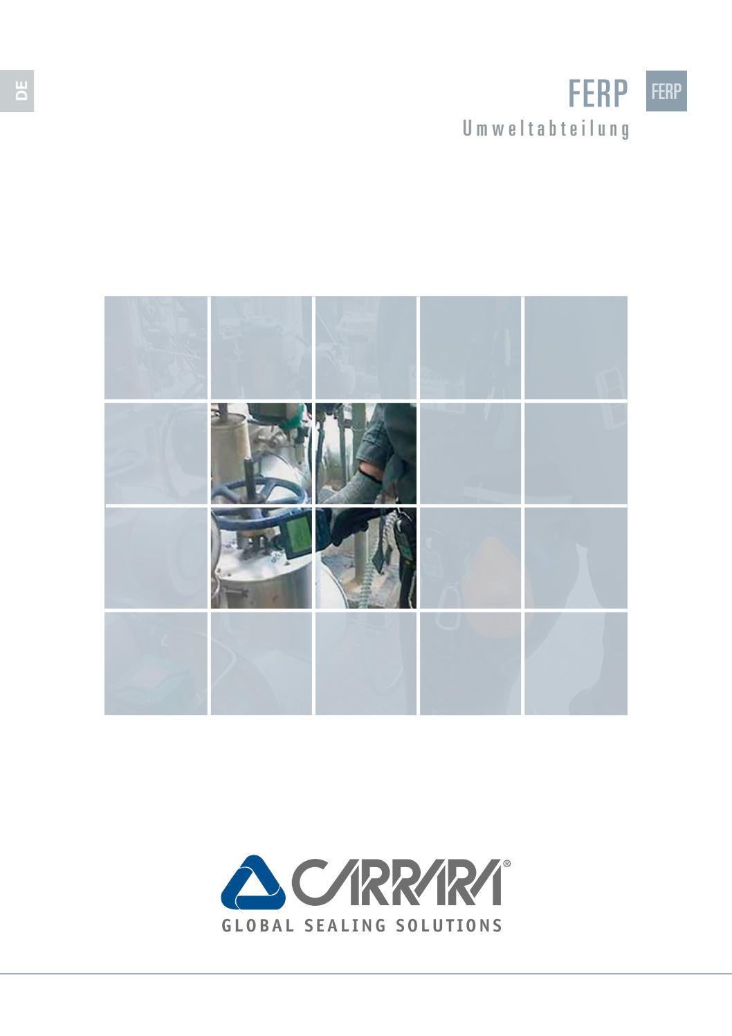 Carrara Ferp Environ Div 06 2018 DE by Digital Media - Issuu