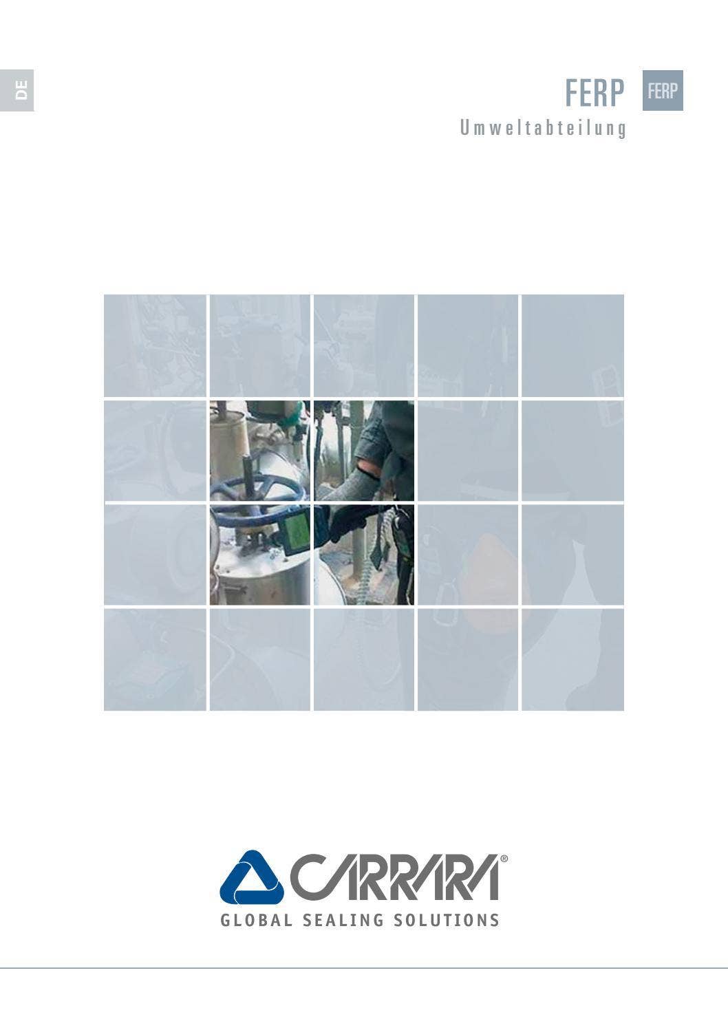 Carrara Ferp Environ Div 06 2018 DE by Digital Media - Issuu