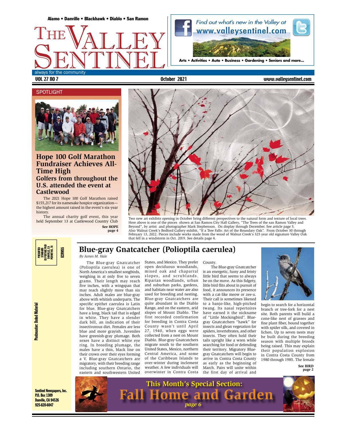 The Valley Sentinel_October 2021 by Sentinel Newspapers - Issuu