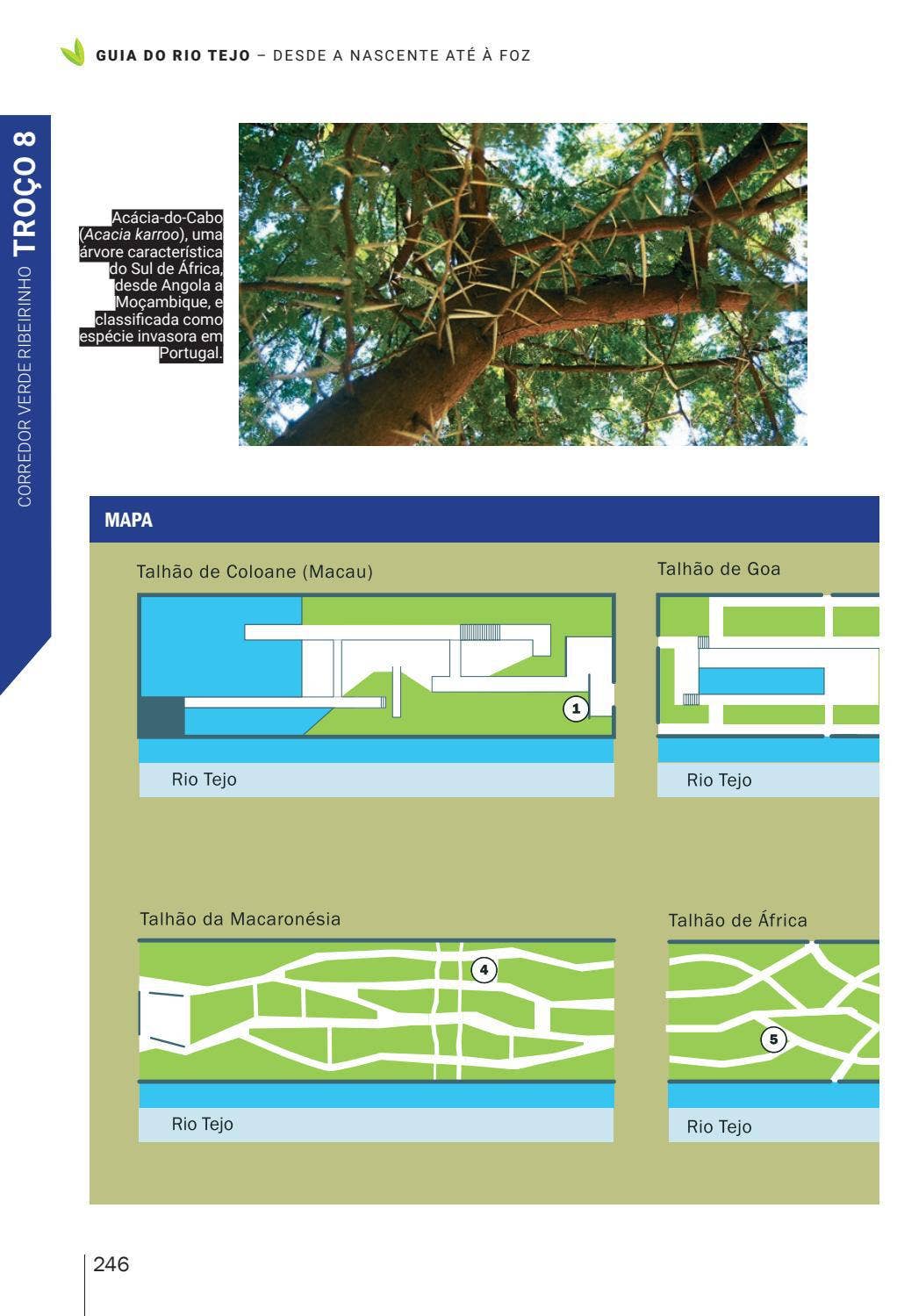 Guia do Rio Tejo: Desde a nascente até à foz by Câmara Municipal de ...