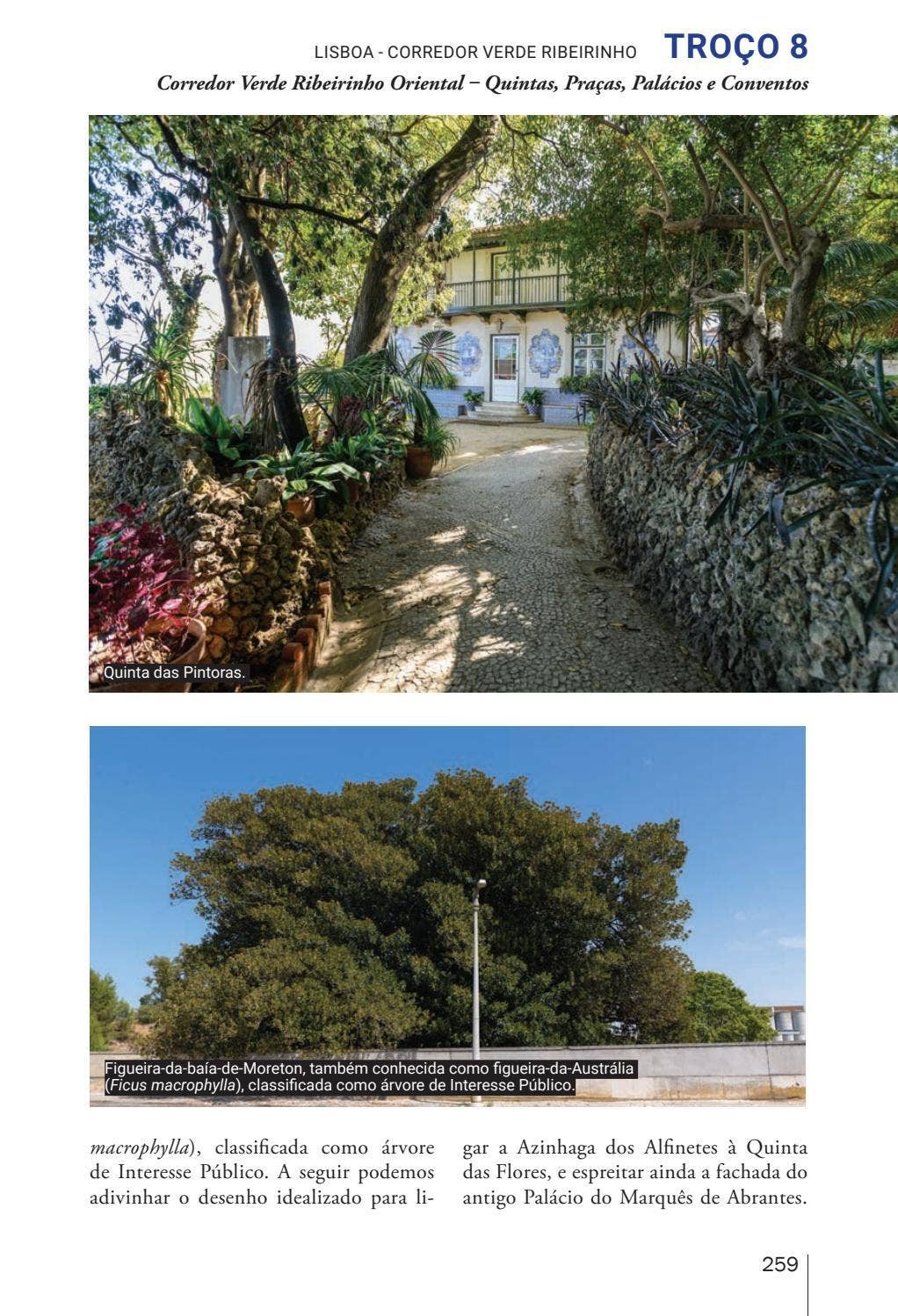 Guia do Rio Tejo: Desde a nascente até à foz by Câmara Municipal de ...