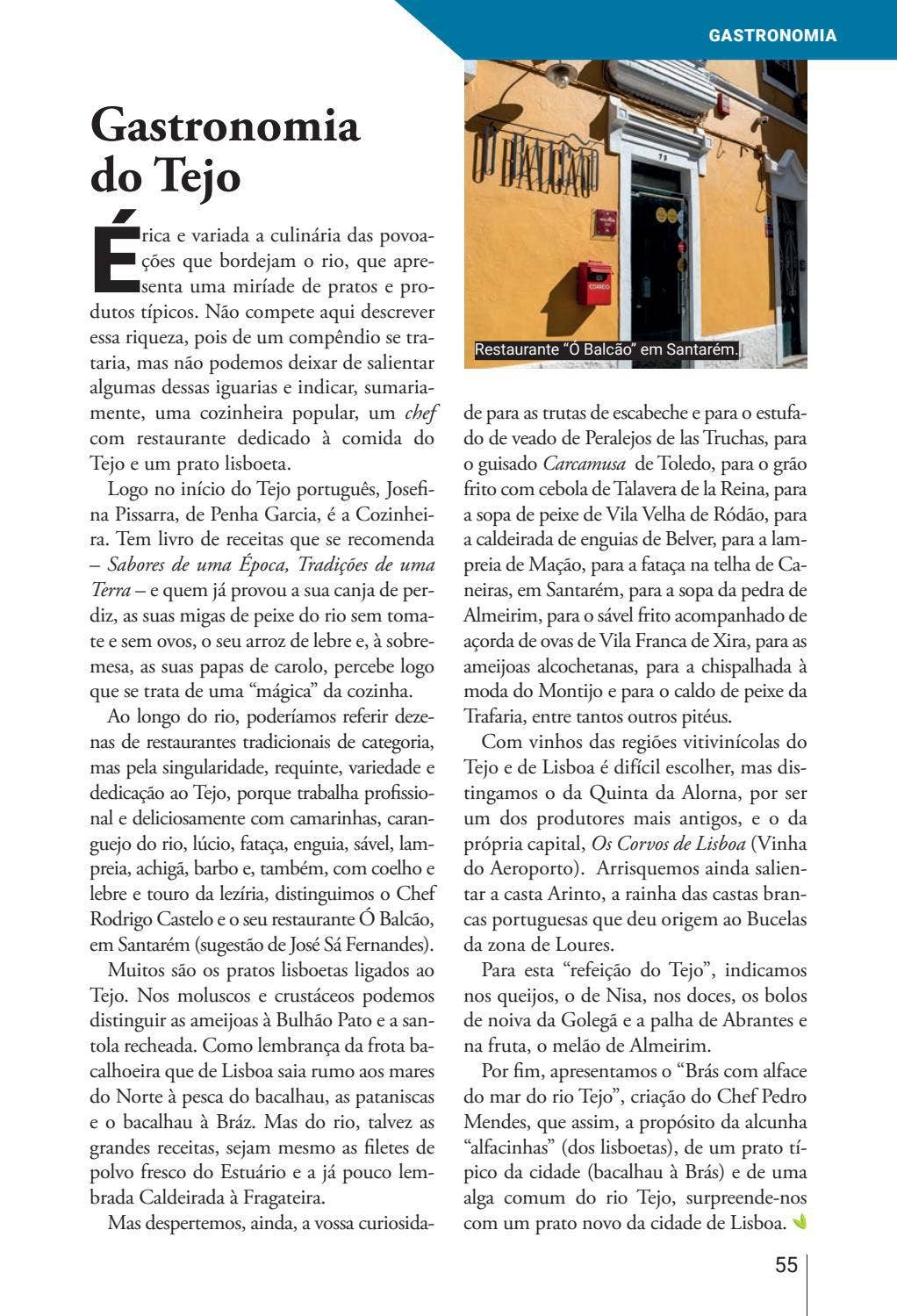 Guia do Rio Tejo: Desde a nascente até à foz by Câmara Municipal de ...