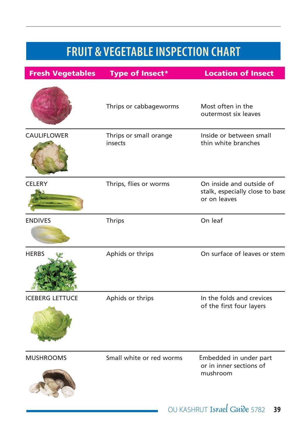OU Israel Kashrut Guide by Orthodox Union - Issuu