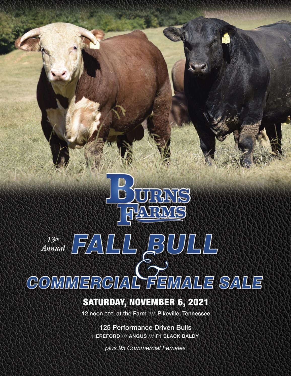 2021 Burns Farms Annual Bull & Commercial Female Sale Catalog by Ranch ...