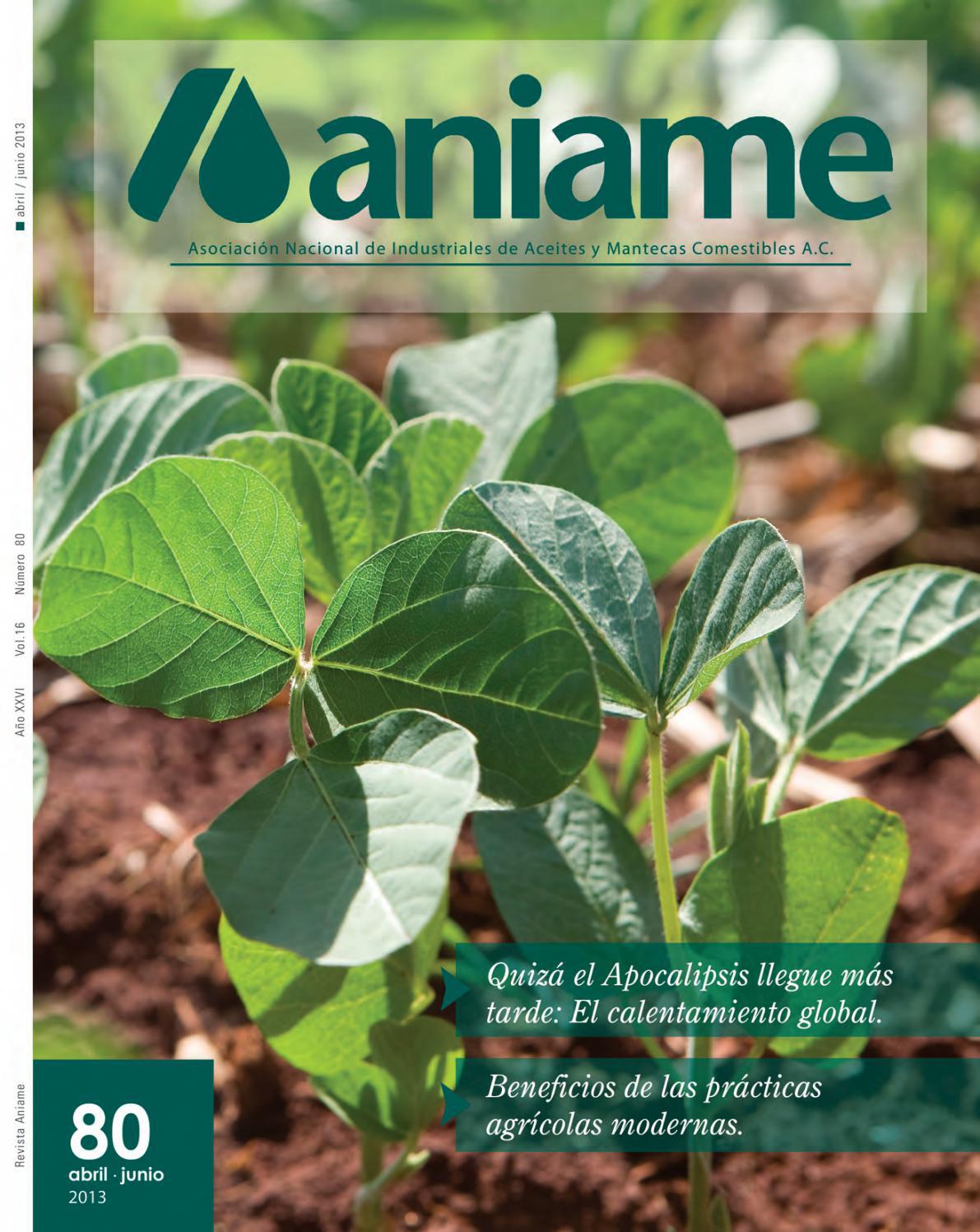 Revista 80 by ANIAME, Asociación Nacional de Industriales de Aceites y ...