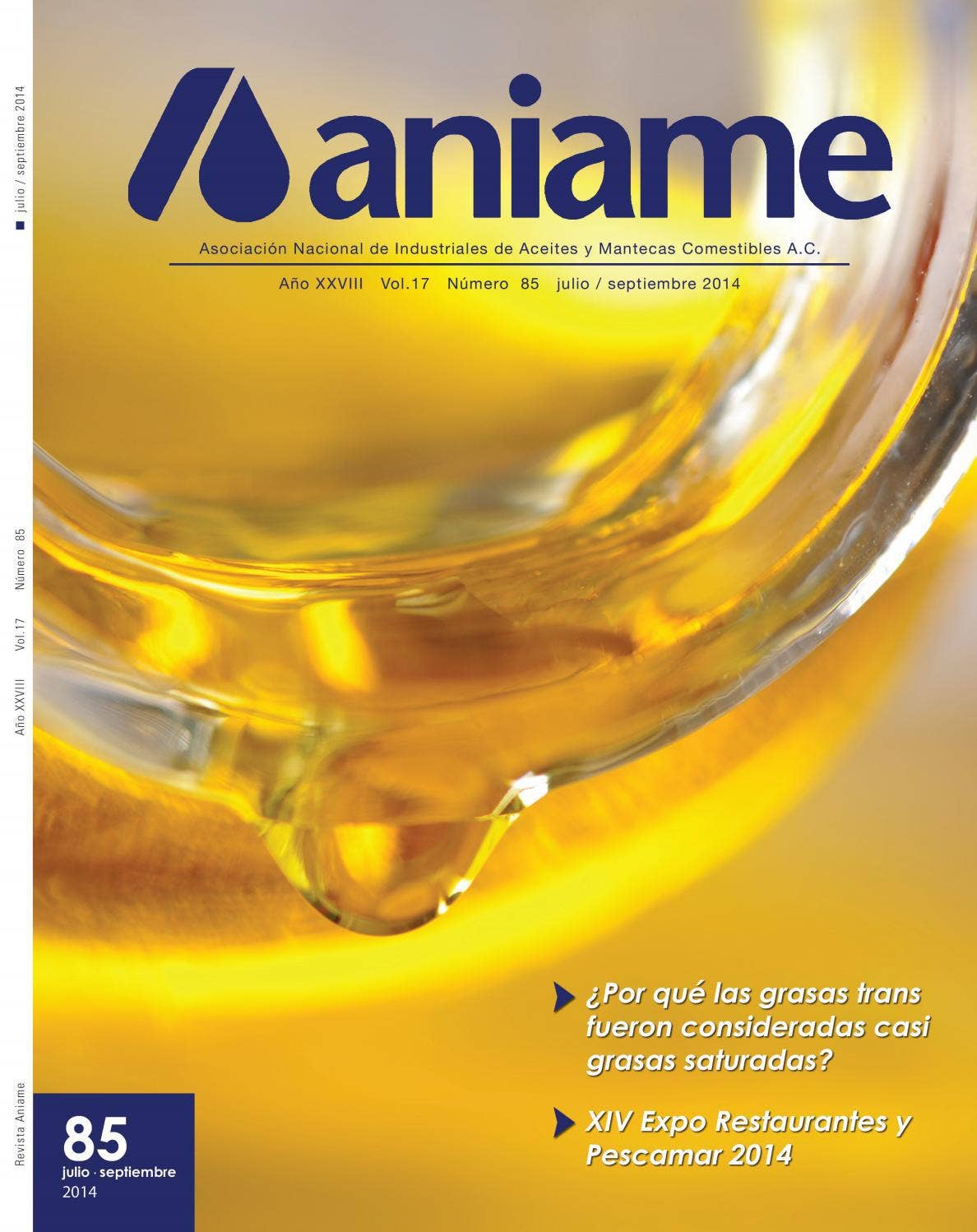 Revista 85 by ANIAME, Asociación Nacional de Industriales de Aceites y ...