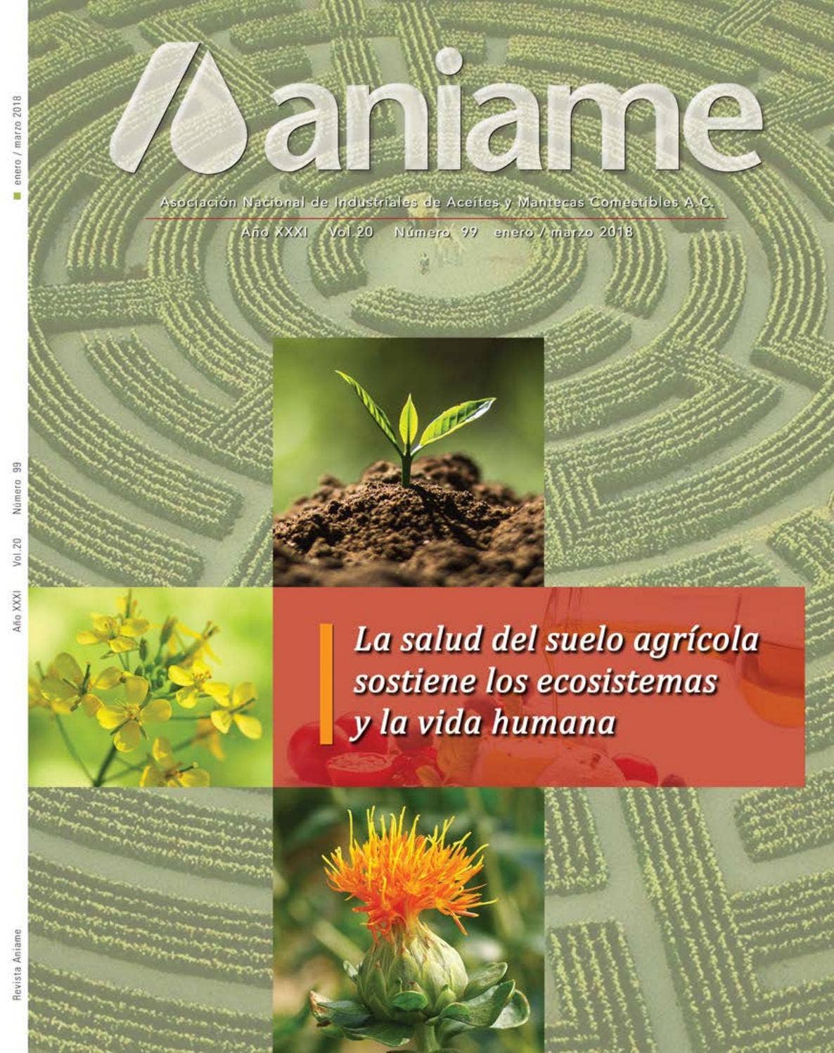 Revista 99 by ANIAME, Asociación Nacional de Industriales de Aceites y ...