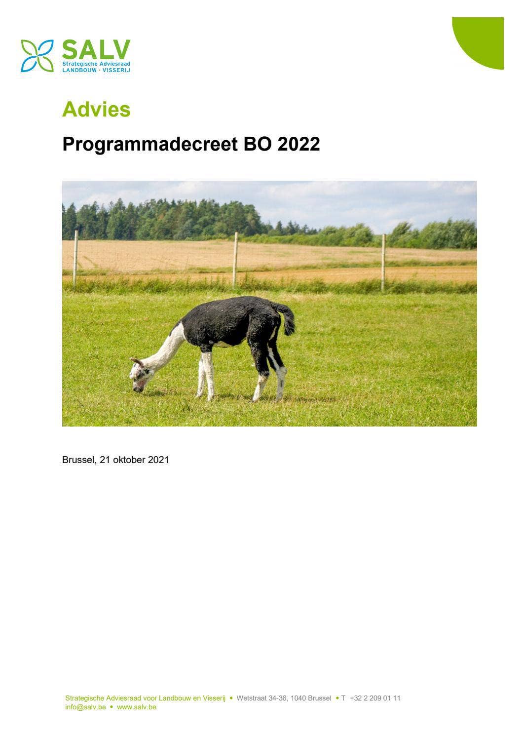 SALV_20211021_BRADV_Programmadecreet_BO_2022_def.pdf by Vlaanderen-be ...