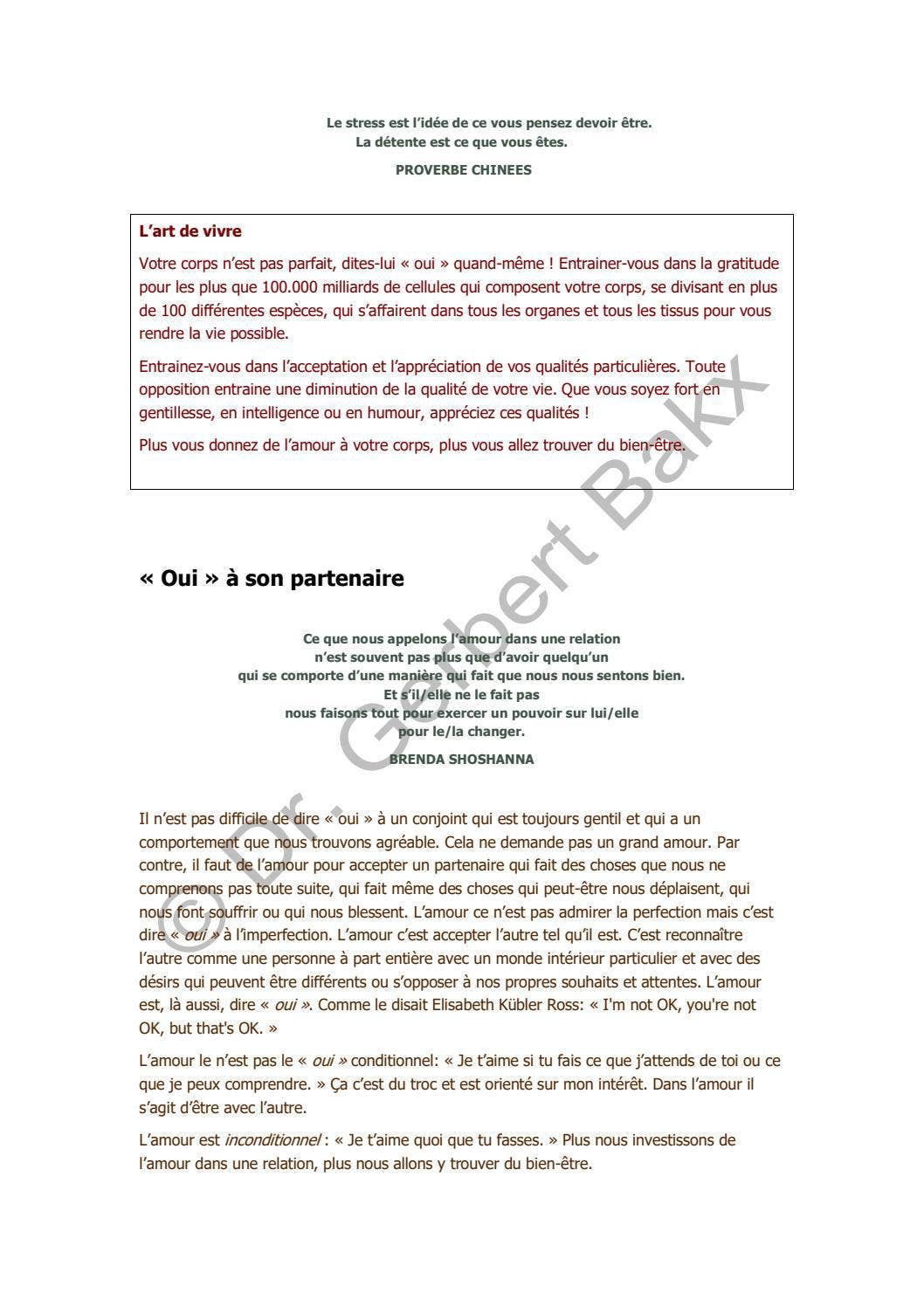 La Stratégie du Bonheur by Gerbert Bakx - Issuu