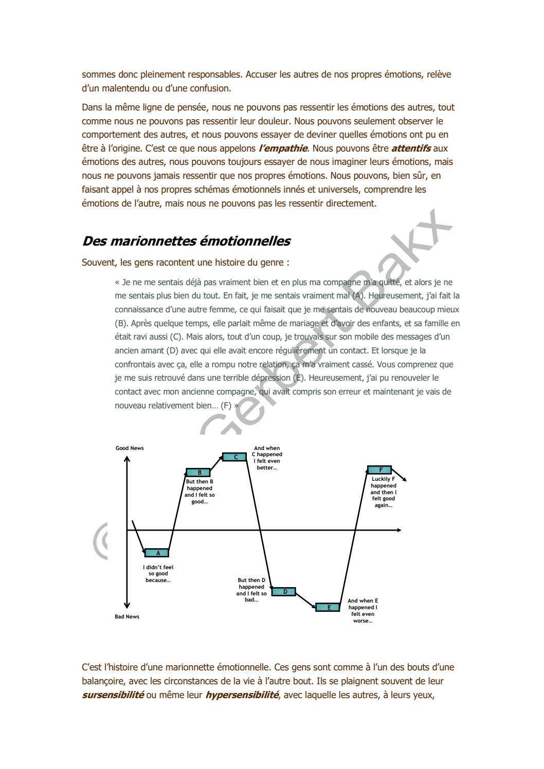 La Stratégie du Bonheur by Gerbert Bakx - Issuu