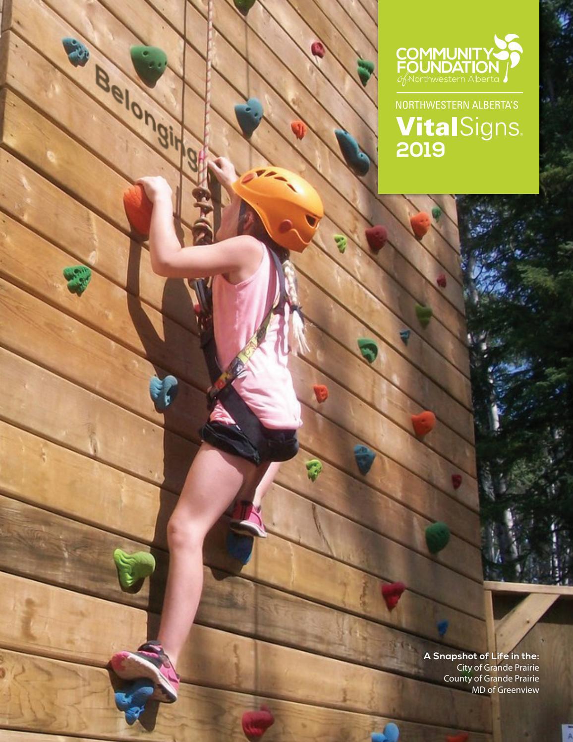 2019 Northwestern Alberta Vital Signs by CFNWAB - Issuu